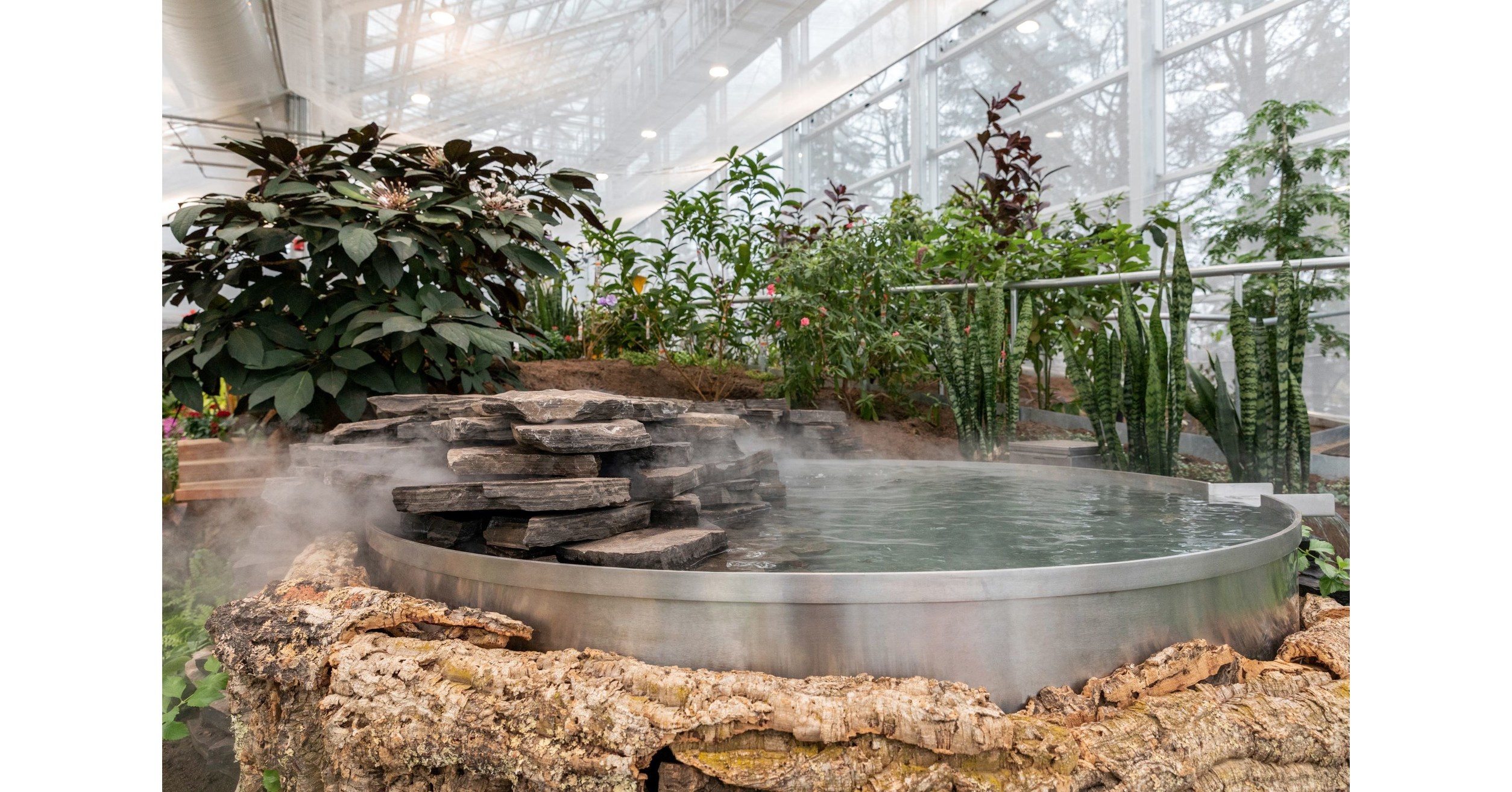 L'INSECTARIUM DE MONTRÉAL ACCUEILLE SES PREMIERS VISITEURS : UNE ...