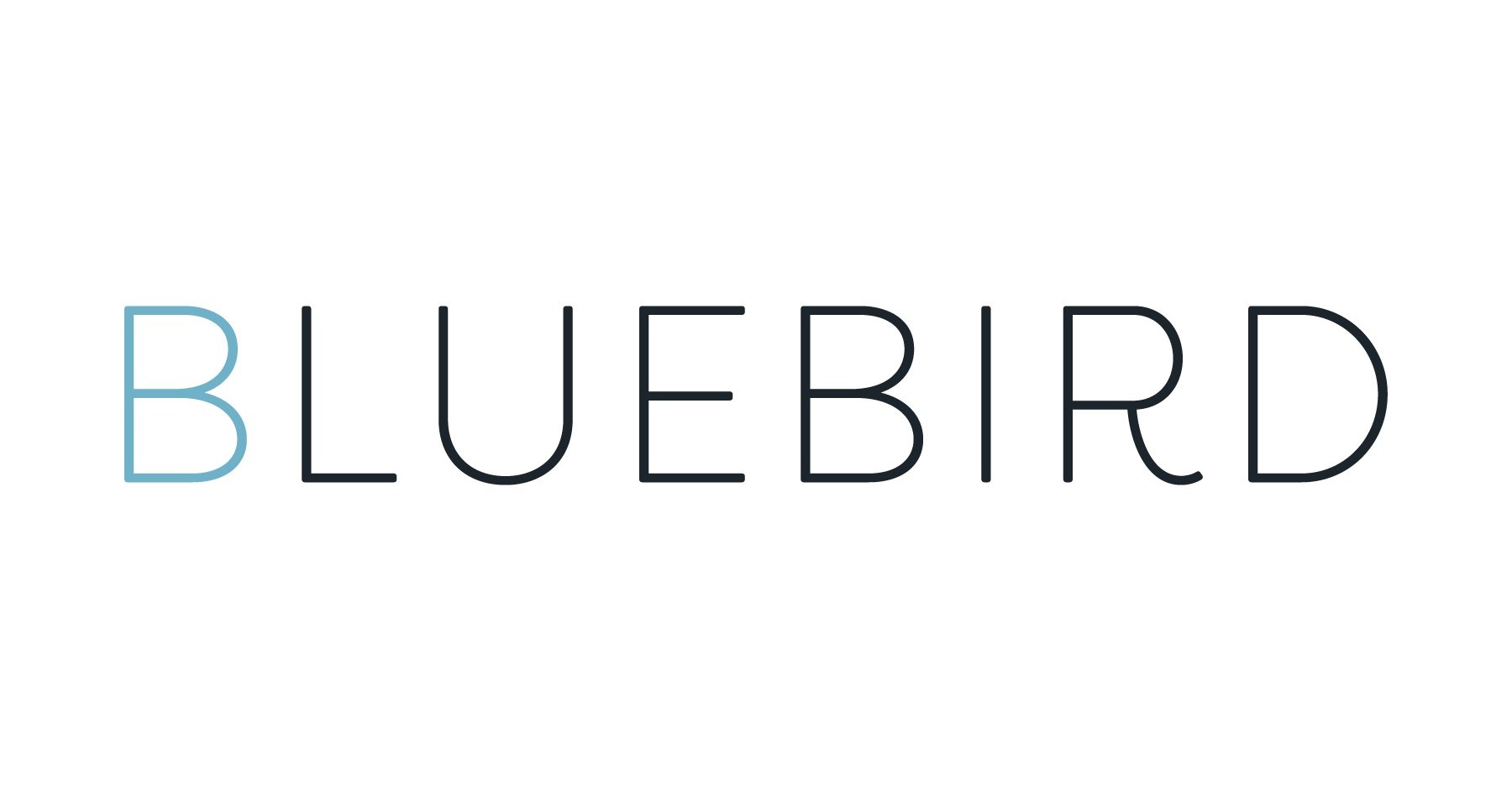 Bluebird Group Logo