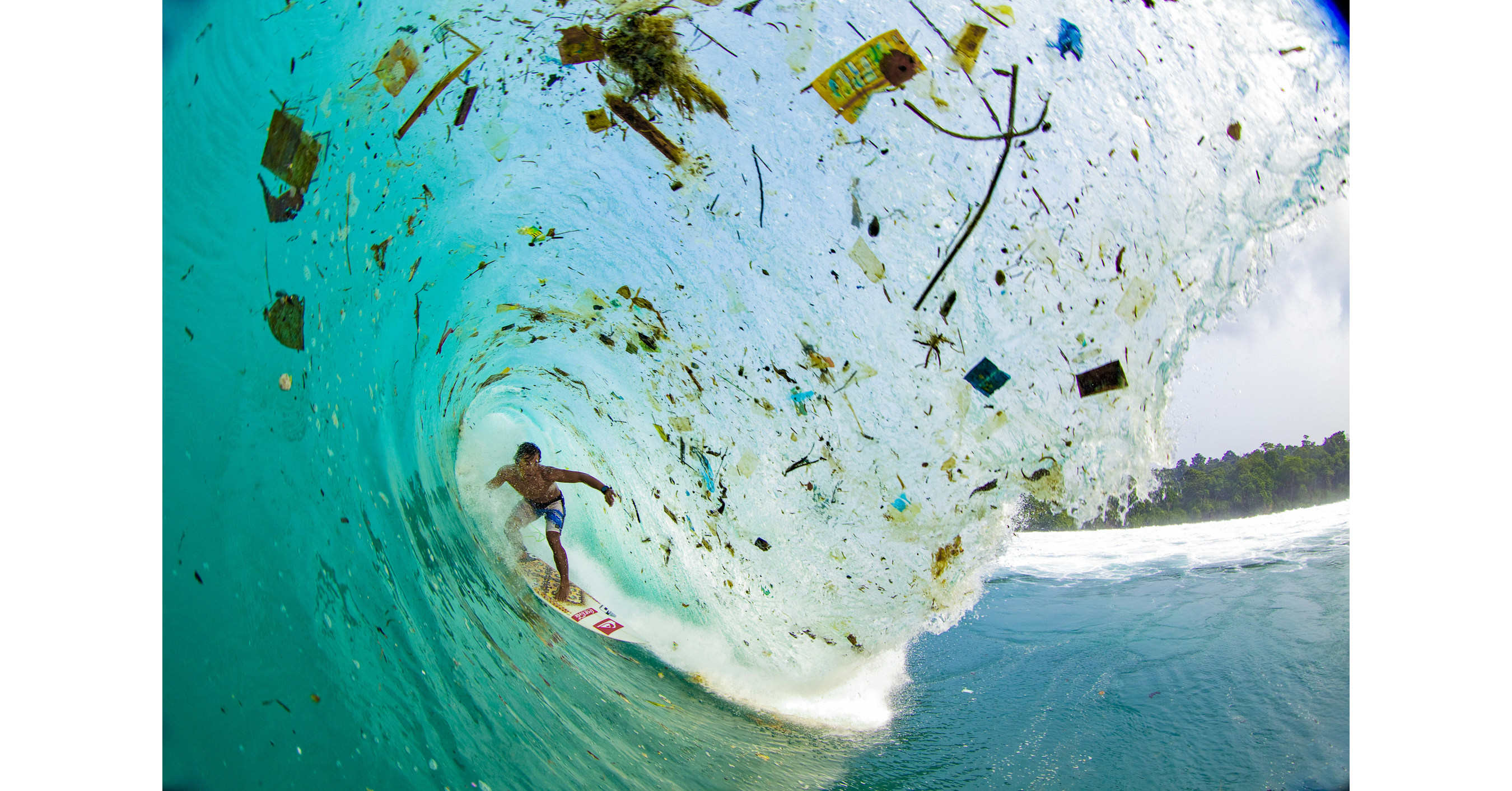A NEW EARTH PROJECT CREATES COALITION TO STOP PLASTIC POLLUTION