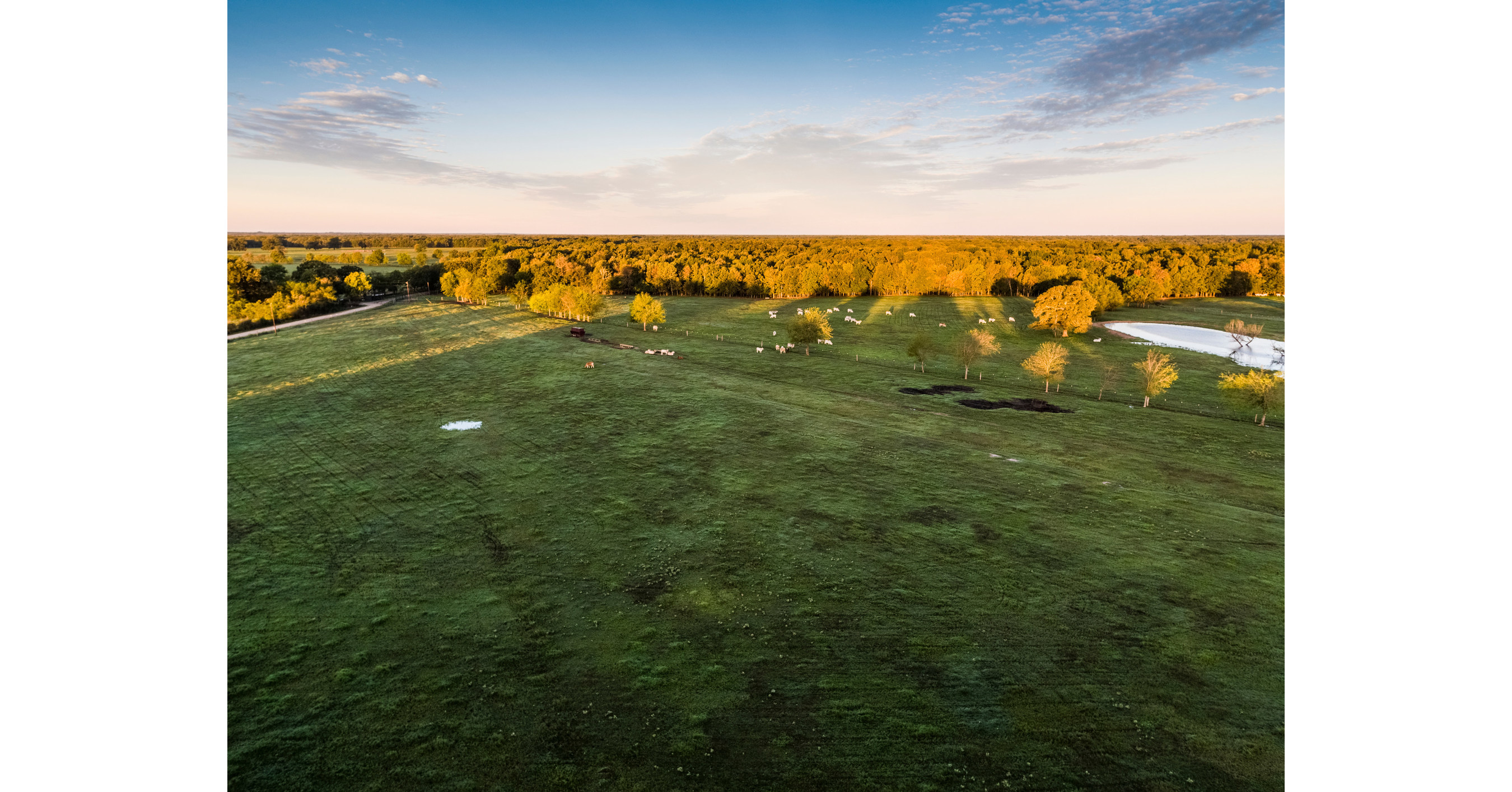 The race for ranches: How the No. 1 ranch division in North Texas has ...