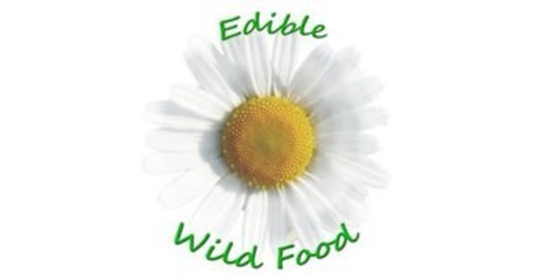 EdibleWildFood.com, Food Insecurity and Foraging for Wild Edibles