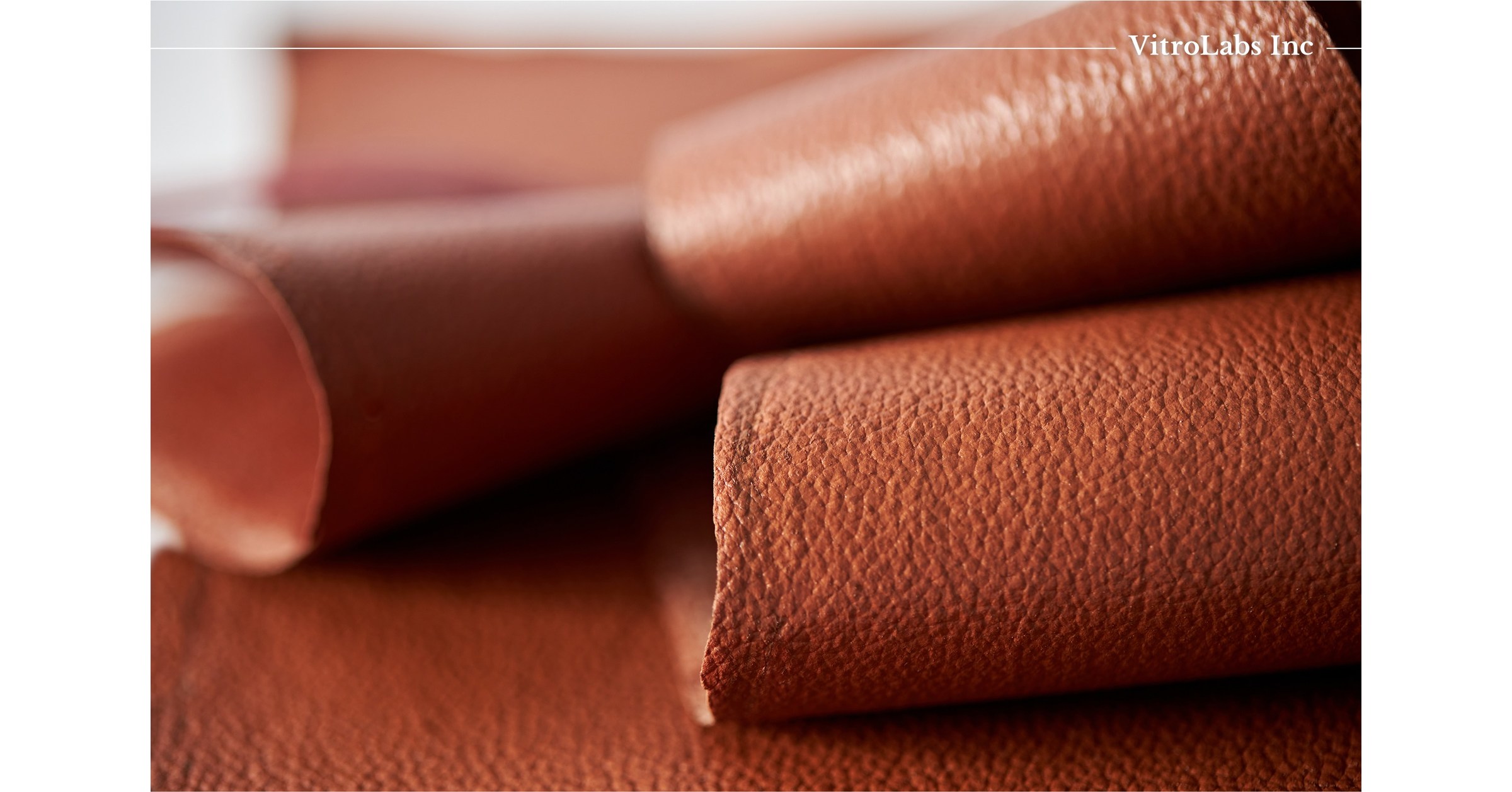 VitroLabs raises $46 million to build and scale the world's first pilot ...