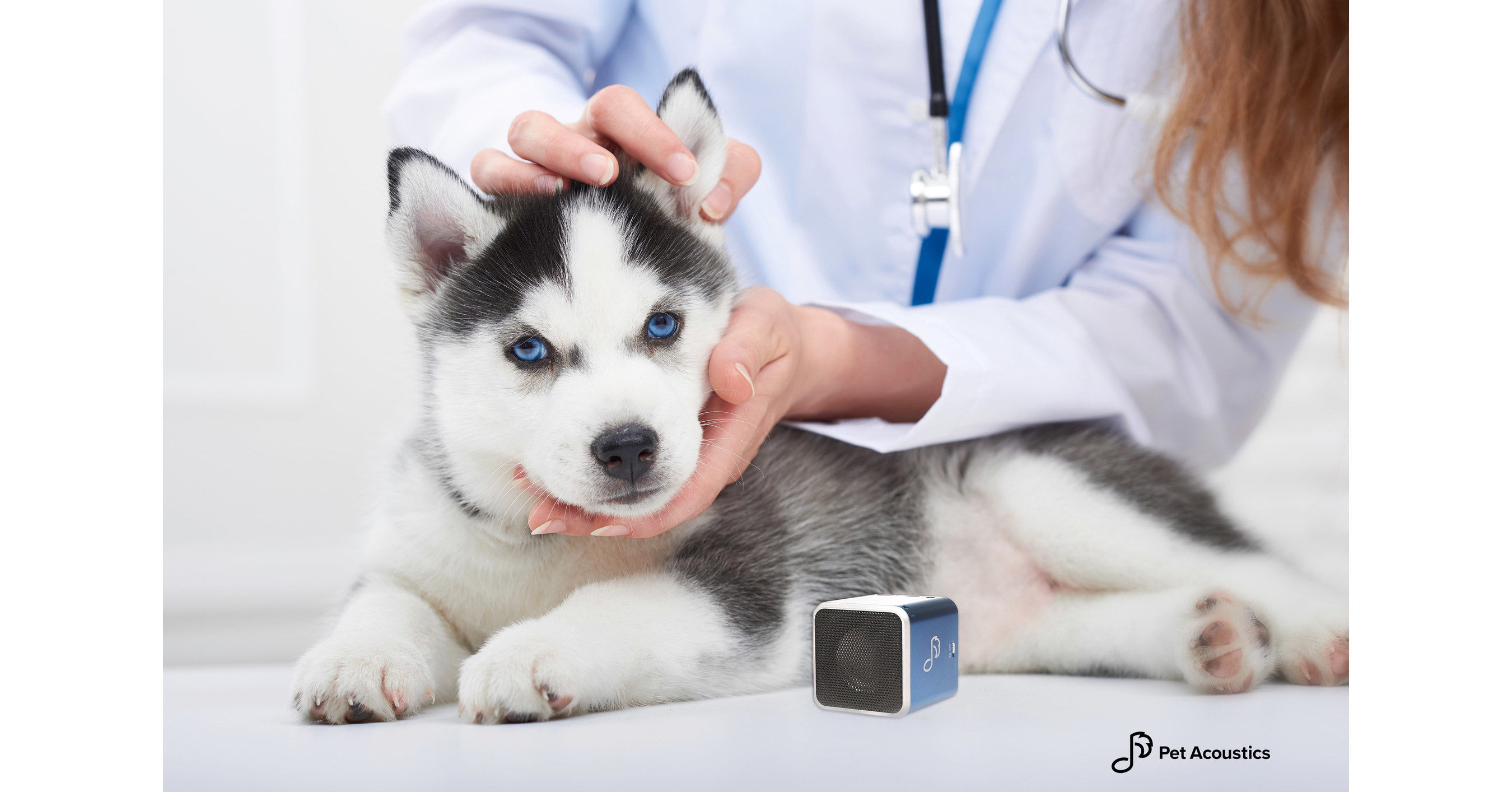 New Biometric Study Proves Pet Acoustics® Canine Music Lessens Stress ...