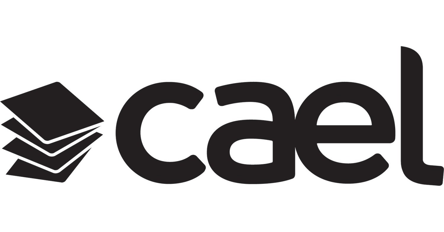 CAEL receives $15.7 million grant from Truist Foundation to strengthen ...