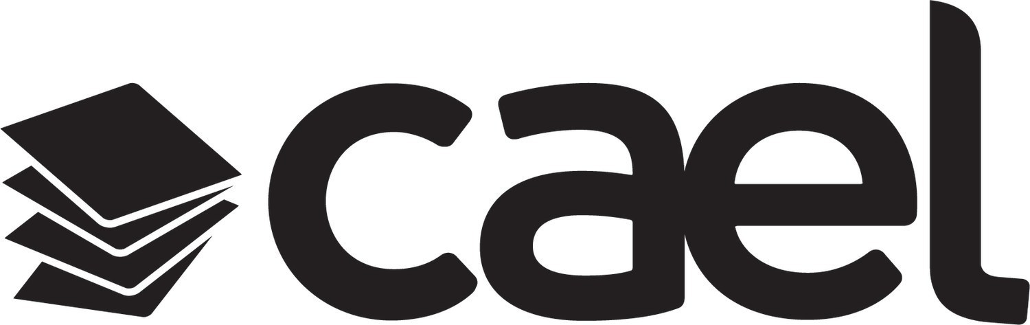 CAEL receives $15.7 million grant from Truist Foundation to strengthen ...