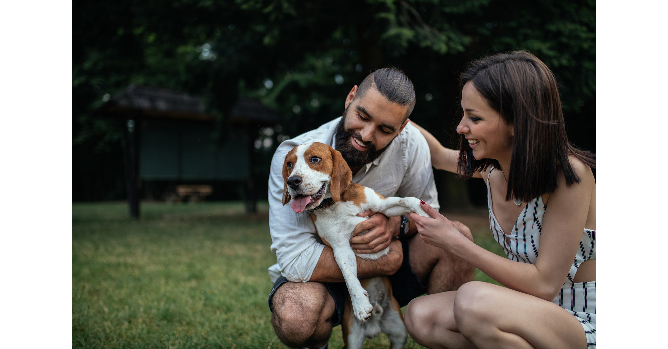 6 Ways Your Dog Can Help Improve Your Mental Health