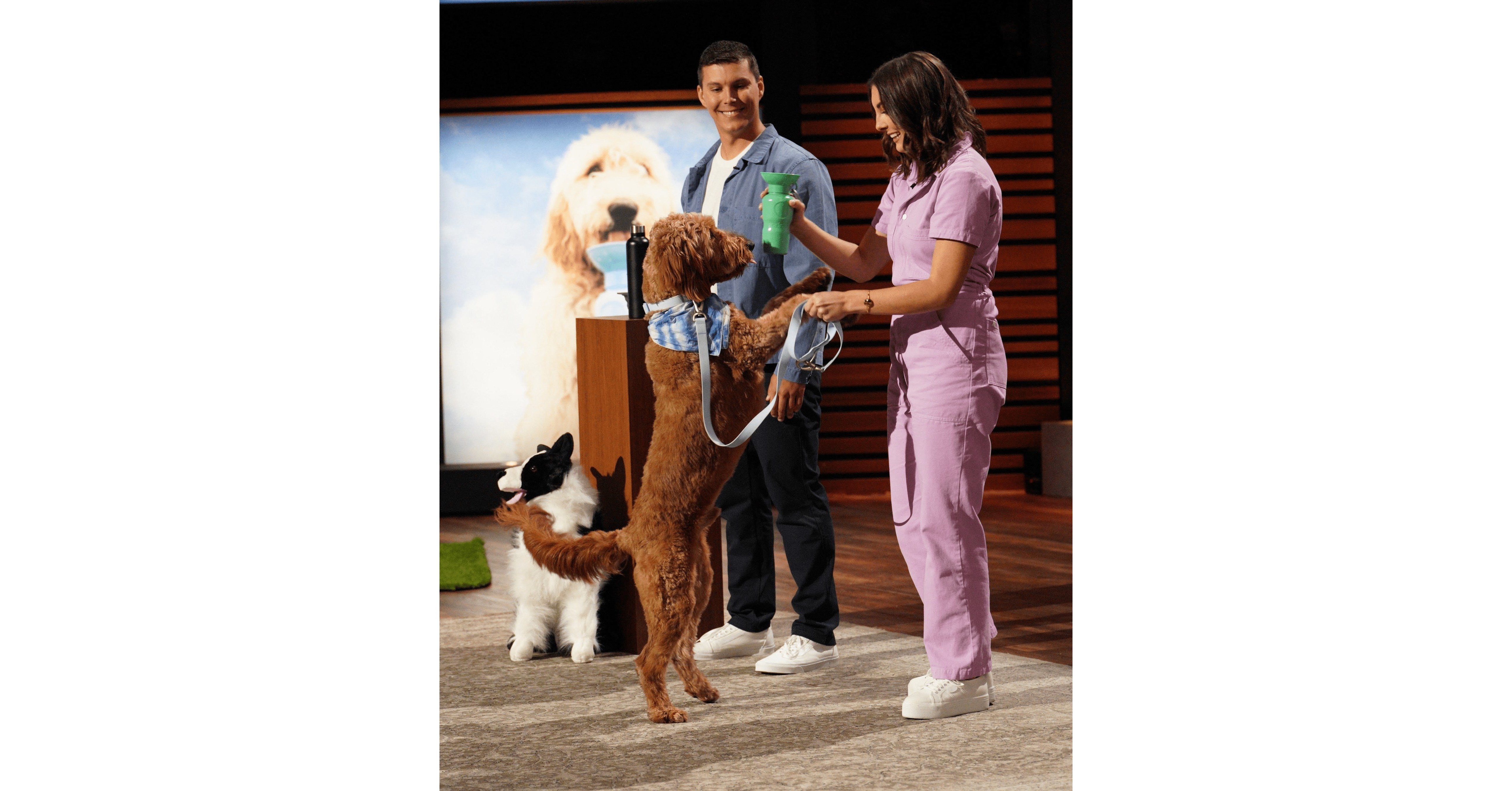 Springer Pets will Air on ABC's Hit Show Shark Tank This Friday, May 13