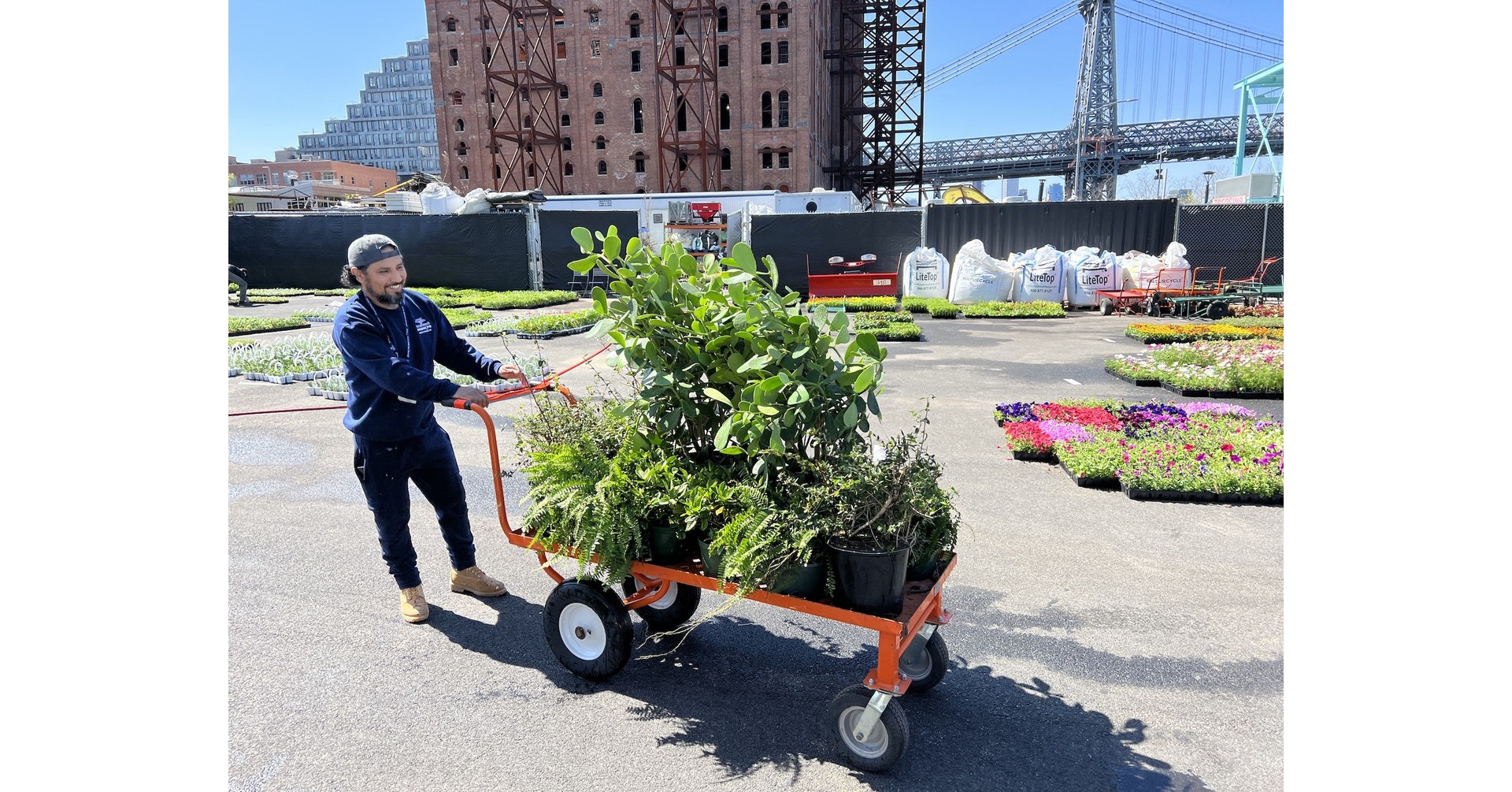 NEW YORK AUTO SHOW & SUBARU DONATE EXHIBIT PLANTS TO HELP GREEN NYC