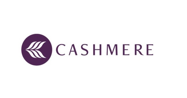 World's First Culture Agency, Cashmere, Promotes Five Senior Executives ...