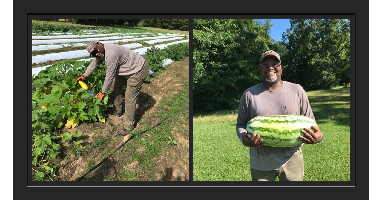 The American Diabetes Association Receives Health Equity Grant from the ...