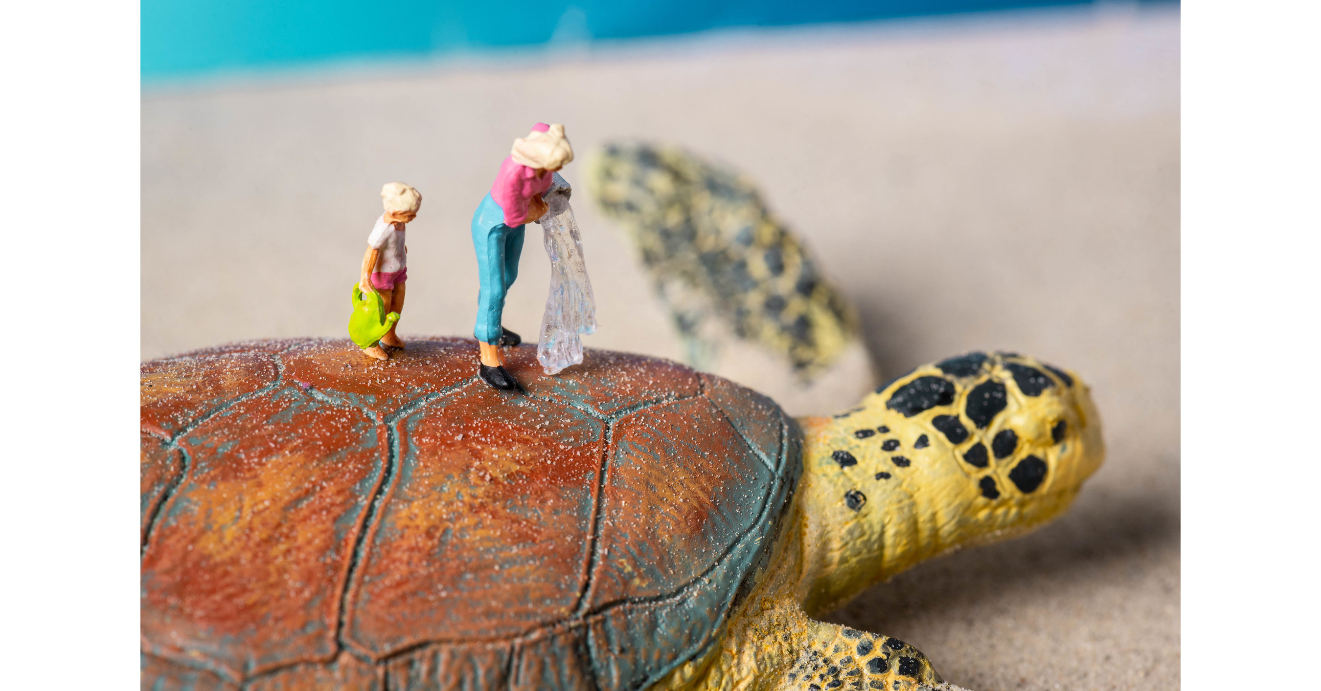 Next Earth launches a charity campaign with SEE Turtles; users can ...