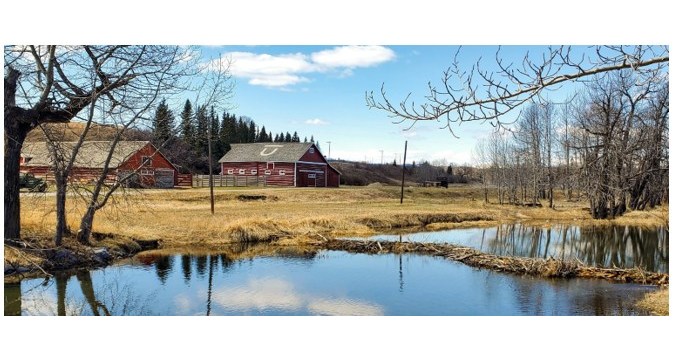 Bar U Ranch National Historic Site officially kicks off 2022 visitor season
