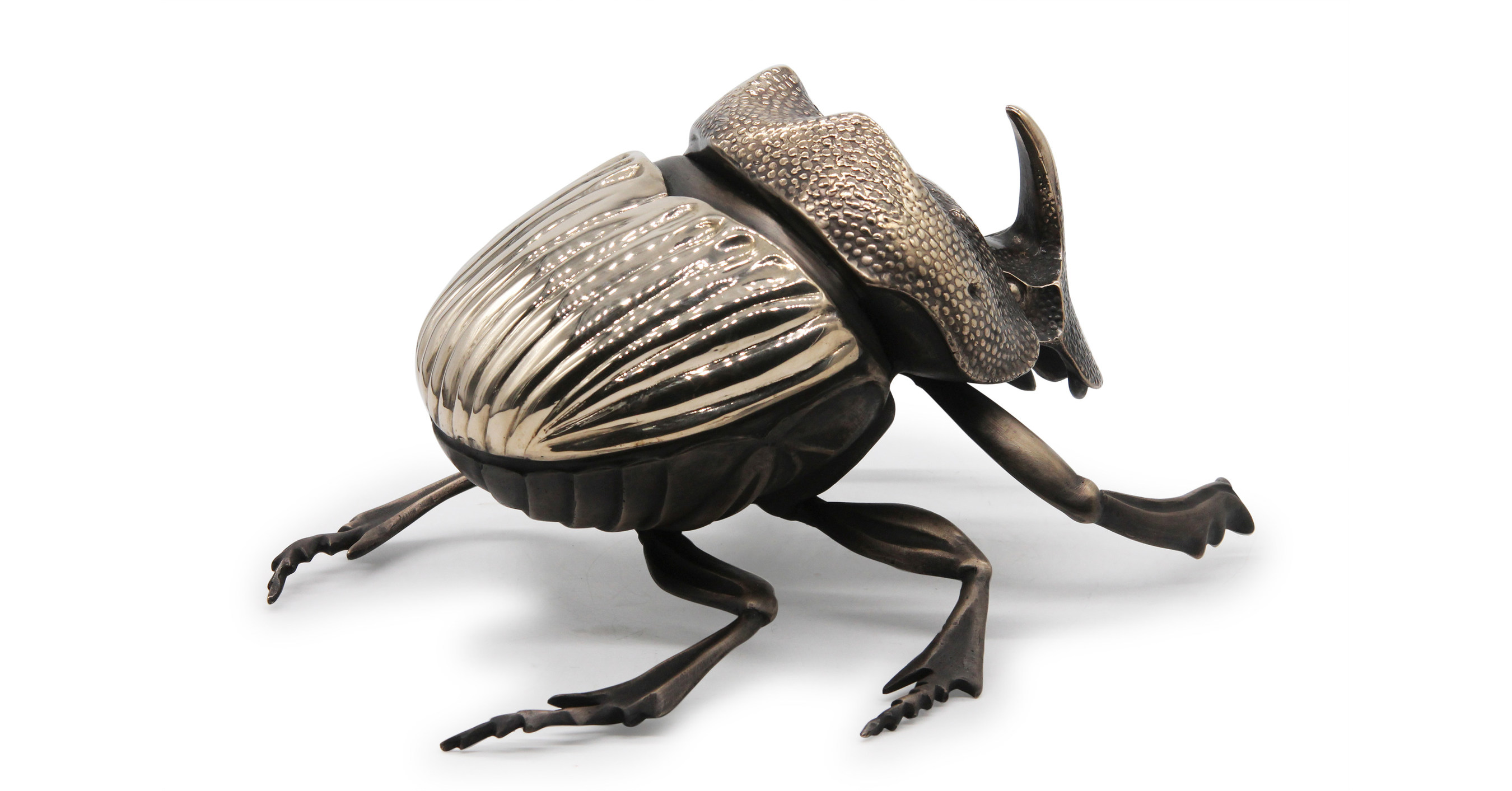 A Tale of Giants and Insectophile Humans