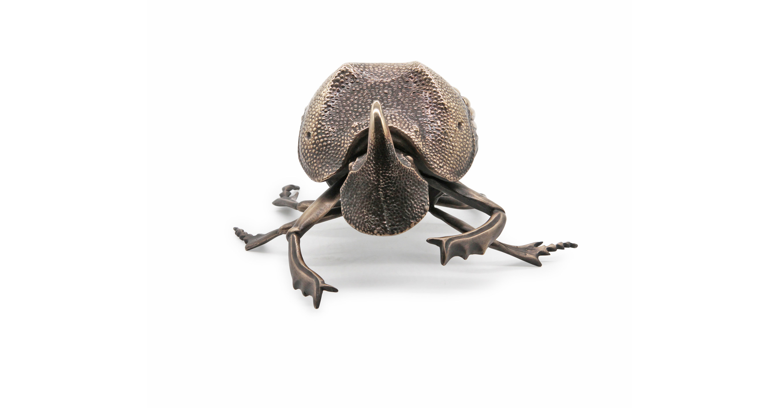 A Tale of Giants and Insectophile Humans