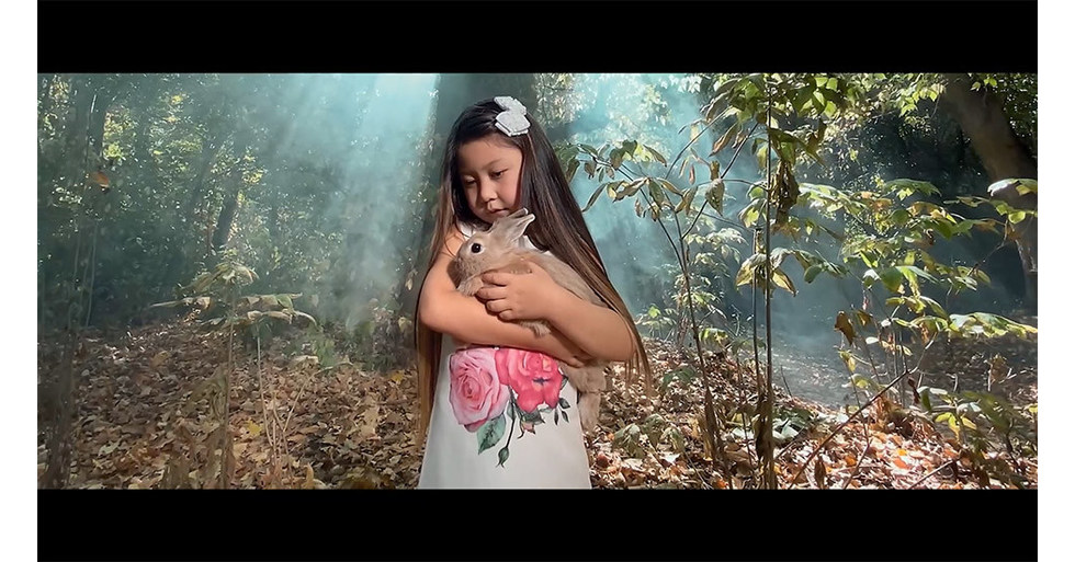 World Environment Day with Short Films