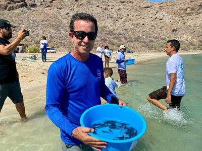 Earth Ocean Farms carries out its seventh release of juvenile Totoaba ...