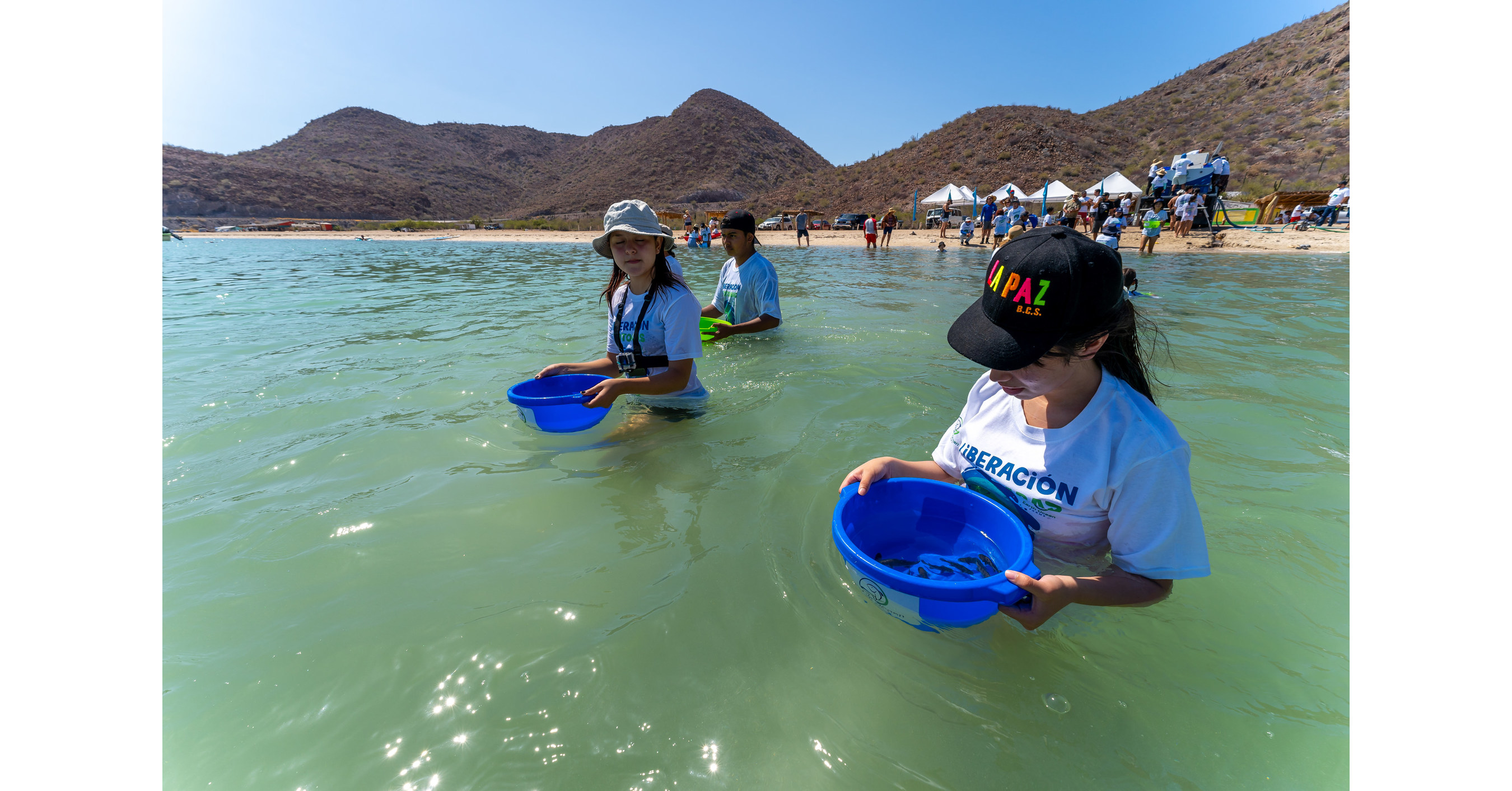 Earth Ocean Farms carries out its seventh release of juvenile Totoaba ...
