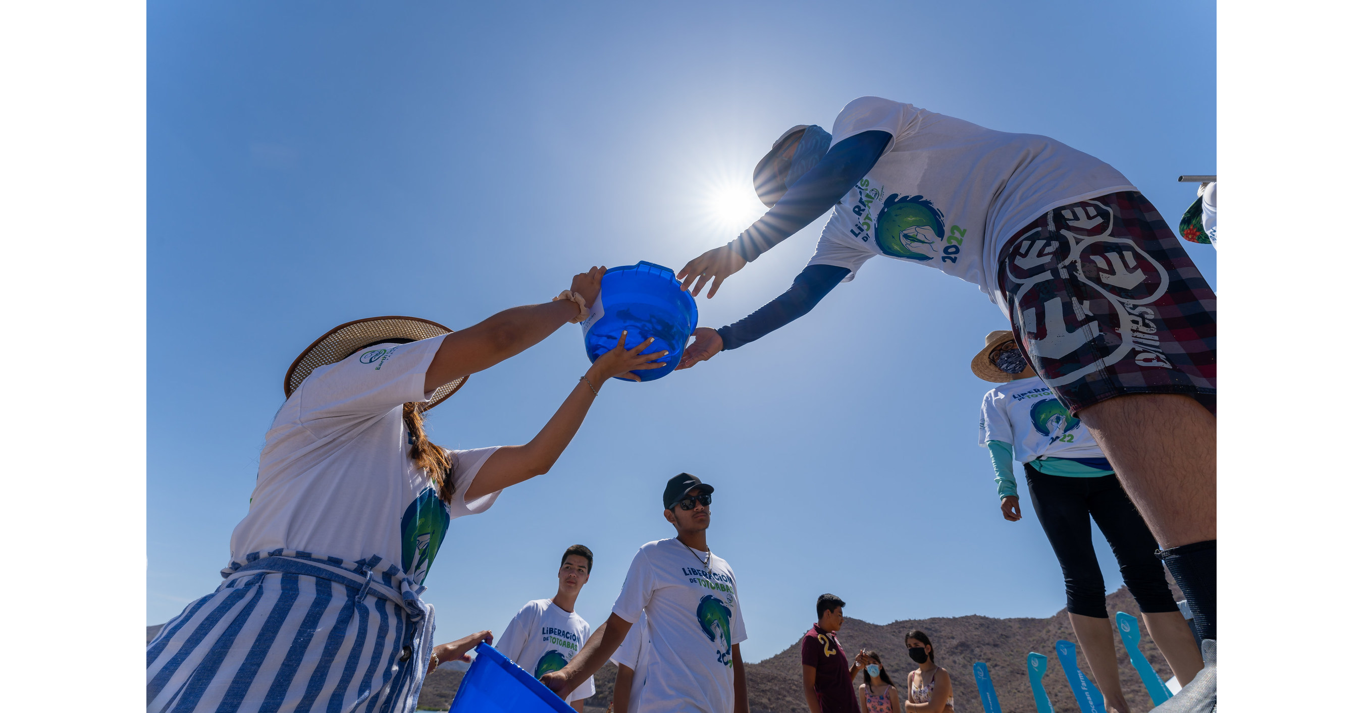 Earth Ocean Farms carries out its seventh release of juvenile Totoaba ...