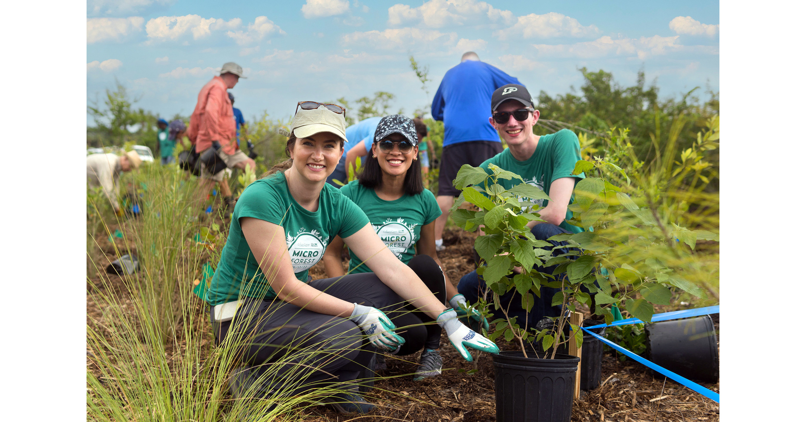Colony Cove Plants 4,000 Trees to Create Community Microforest