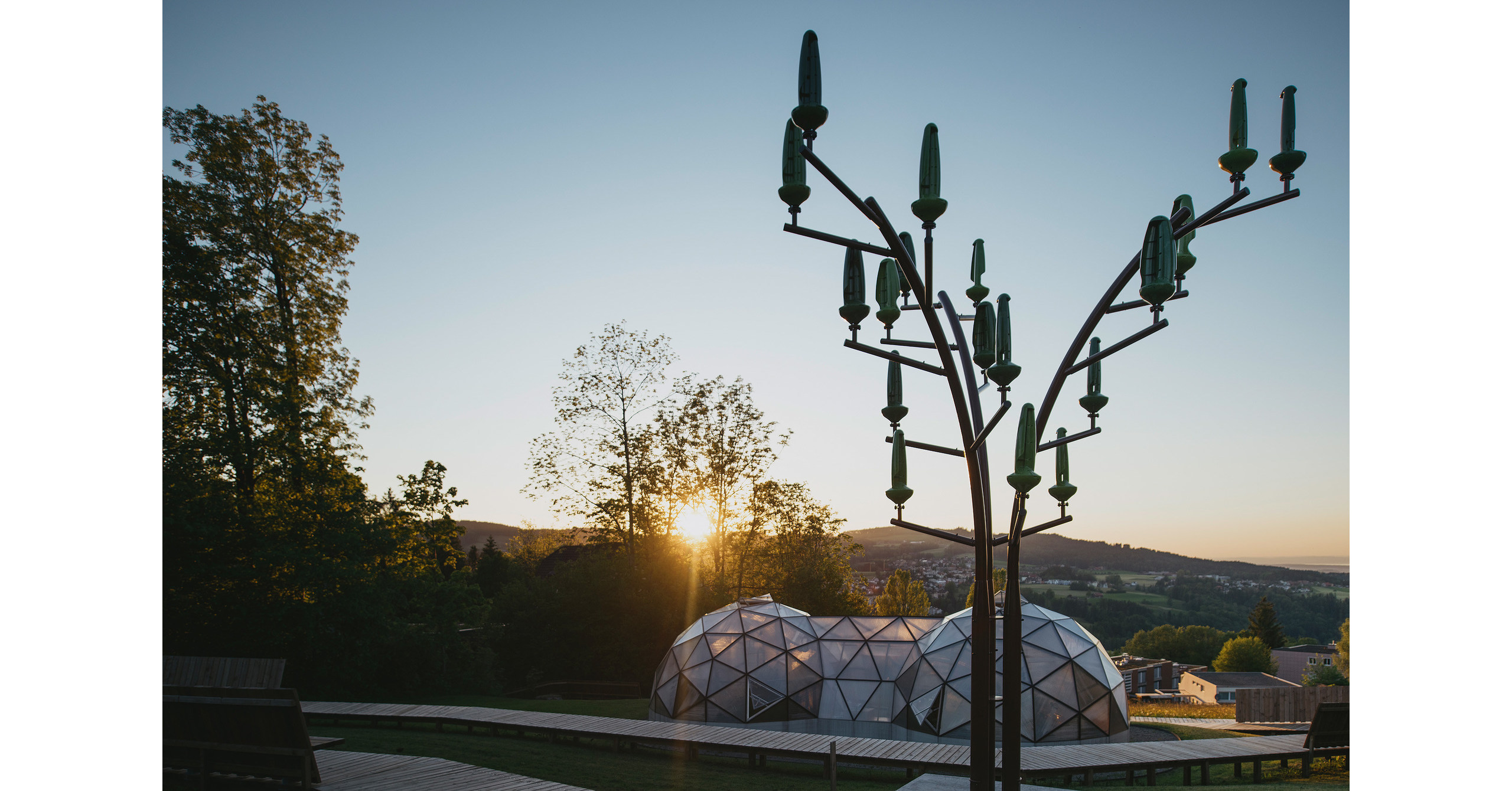 INSTITUT AUF DEM ROSENBERG: A PREMIER DESTINATION FOR STEM EDUCATION