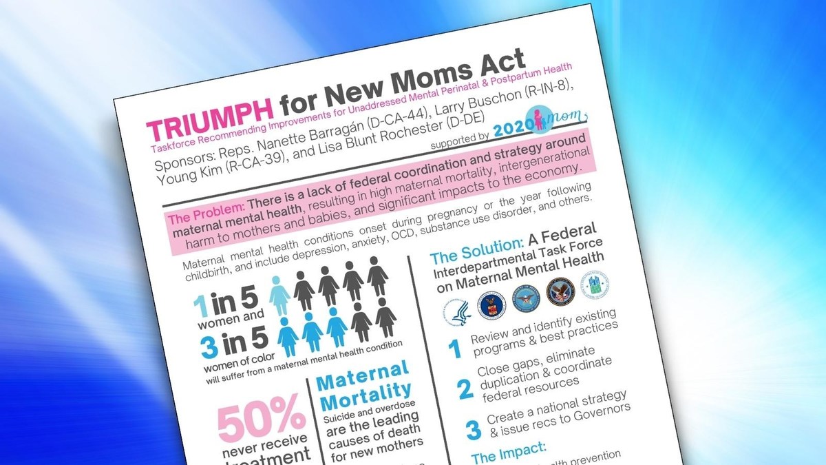 Moms Matter Program Daily Affirmations For New Moms: Day 1 Companion