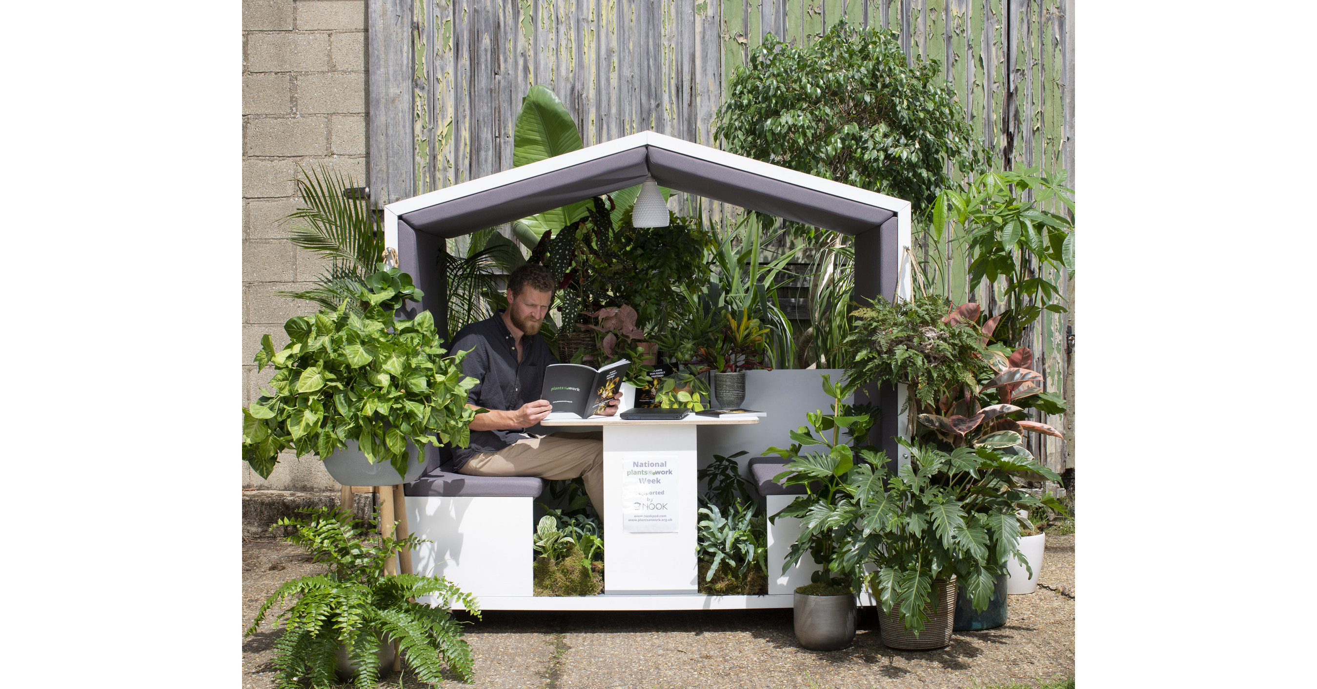 Transforming Workspaces with Plants: National Plants at Work Week 2022