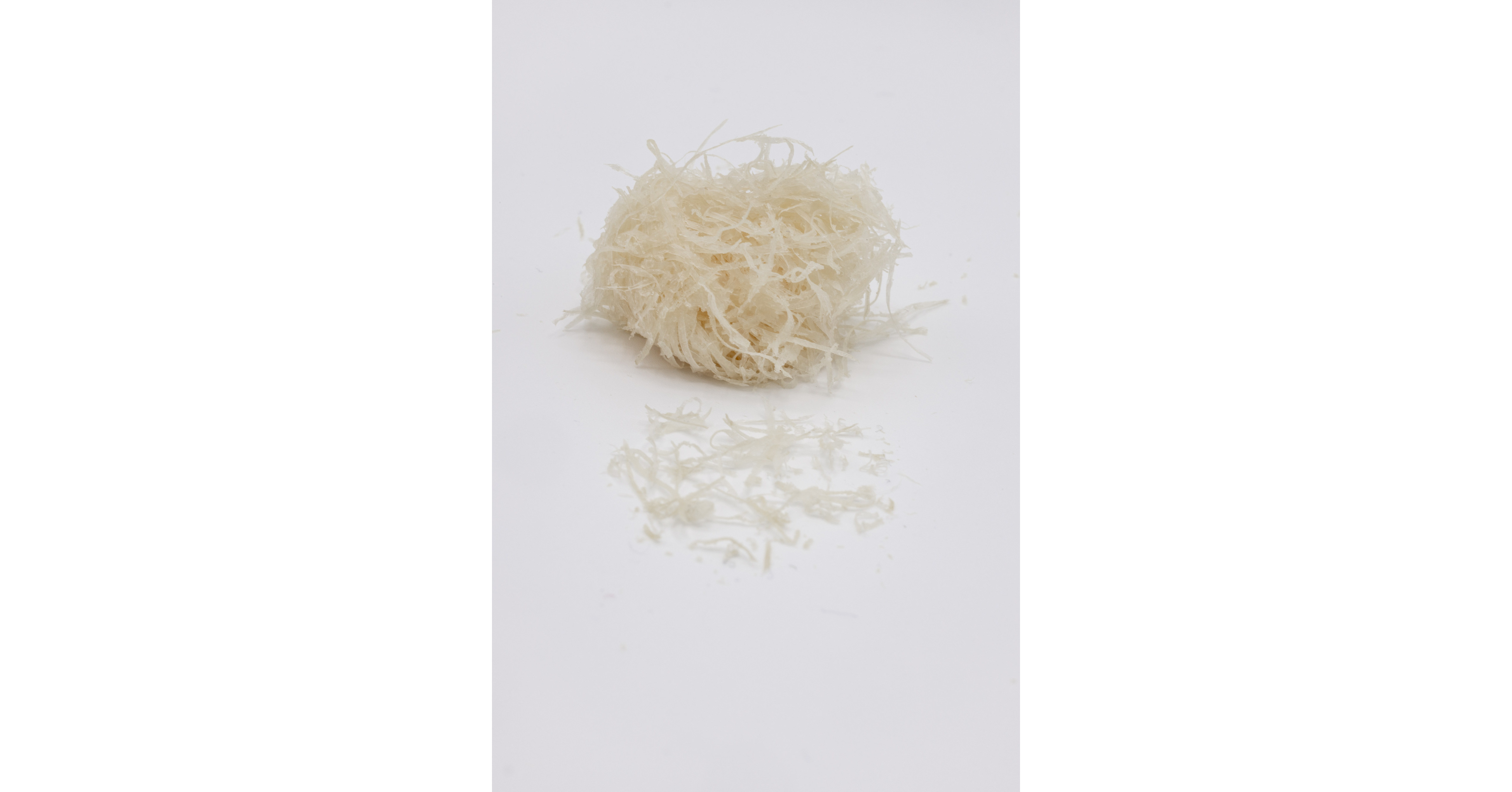 ALLOSOURCE® ANNOUNCES NEW MICRO FIBERS DEMINERALIZED BONE ALLOGRAFT