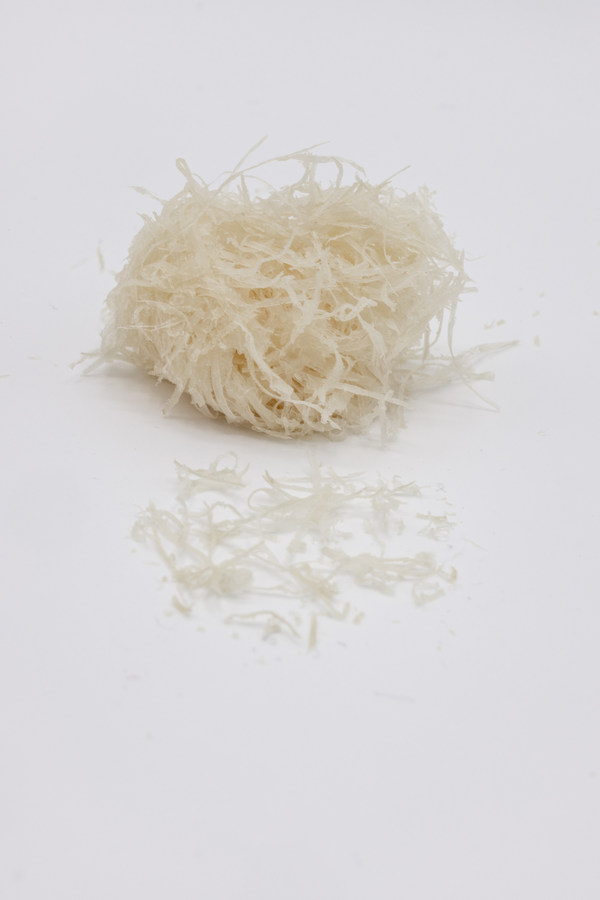 ALLOSOURCE® ANNOUNCES NEW MICRO FIBERS DEMINERALIZED BONE ALLOGRAFT