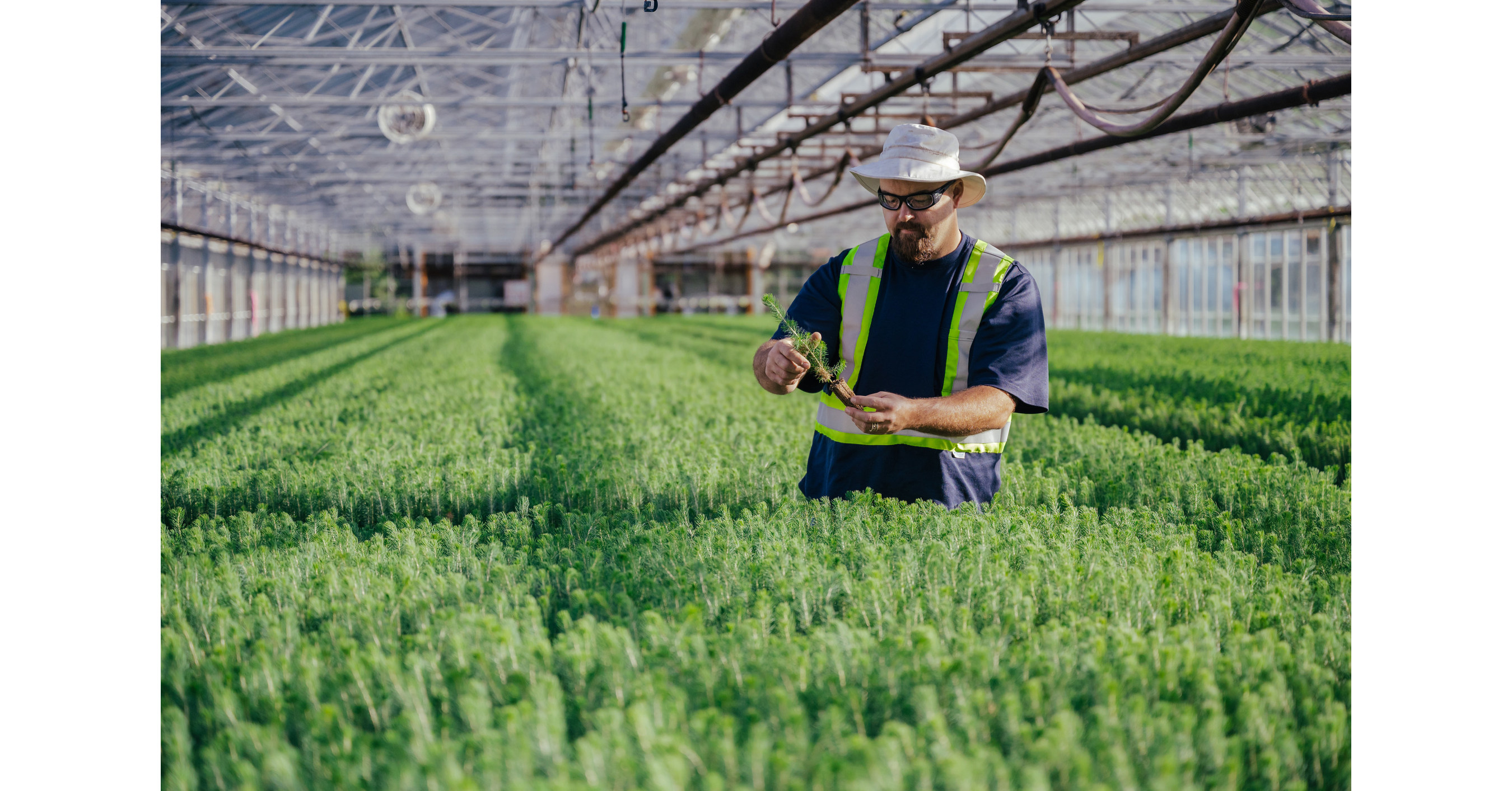 Canfor and Canfor Pulp Jointly Release 2021 Sustainability Report with ...