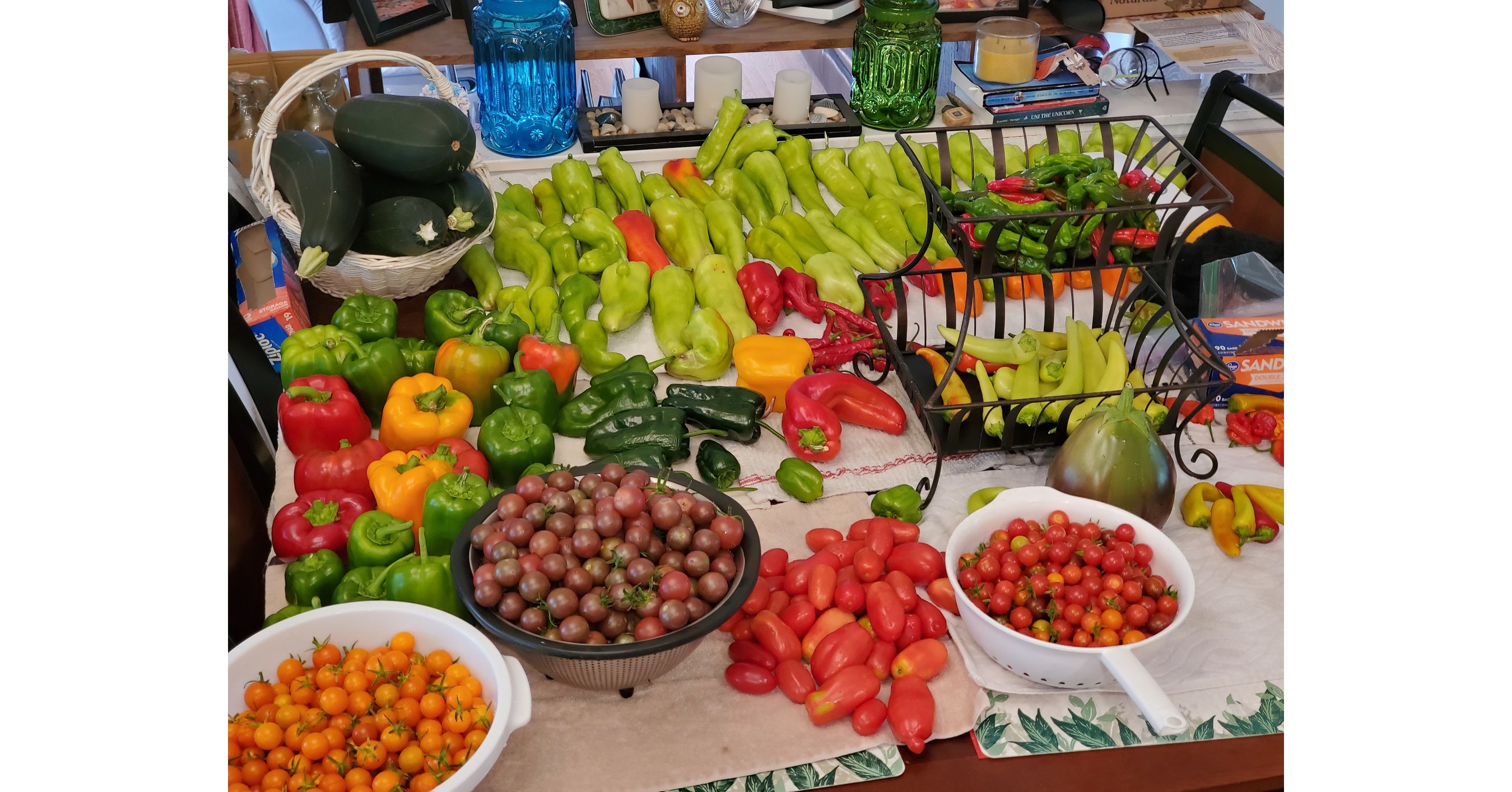 5 Tips to Maximize Your Garden's Potential From Backyard Farming Supply