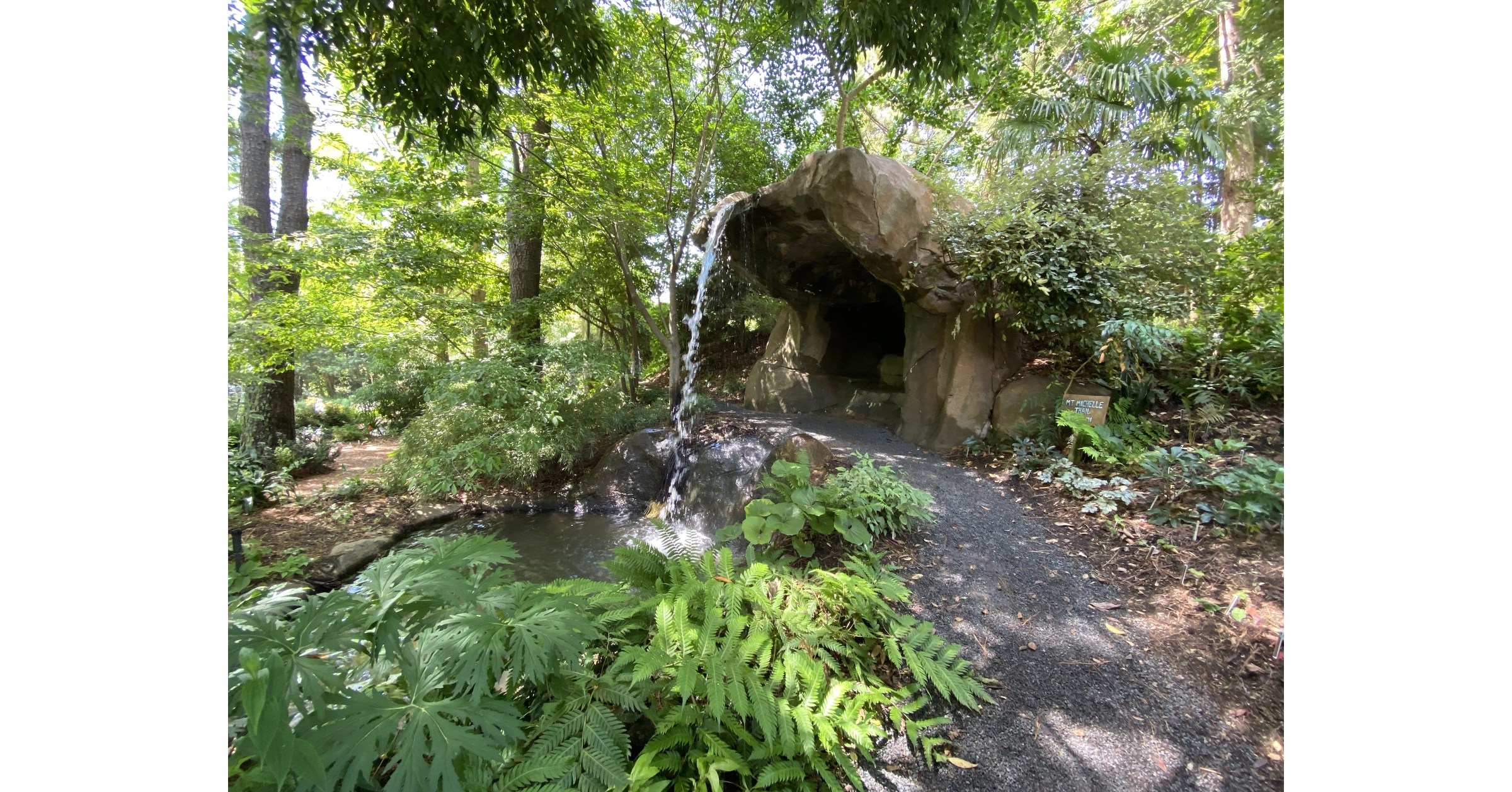 Raleigh's Juniper Level Botanic Garden Will Open Two Summer Weekends ...