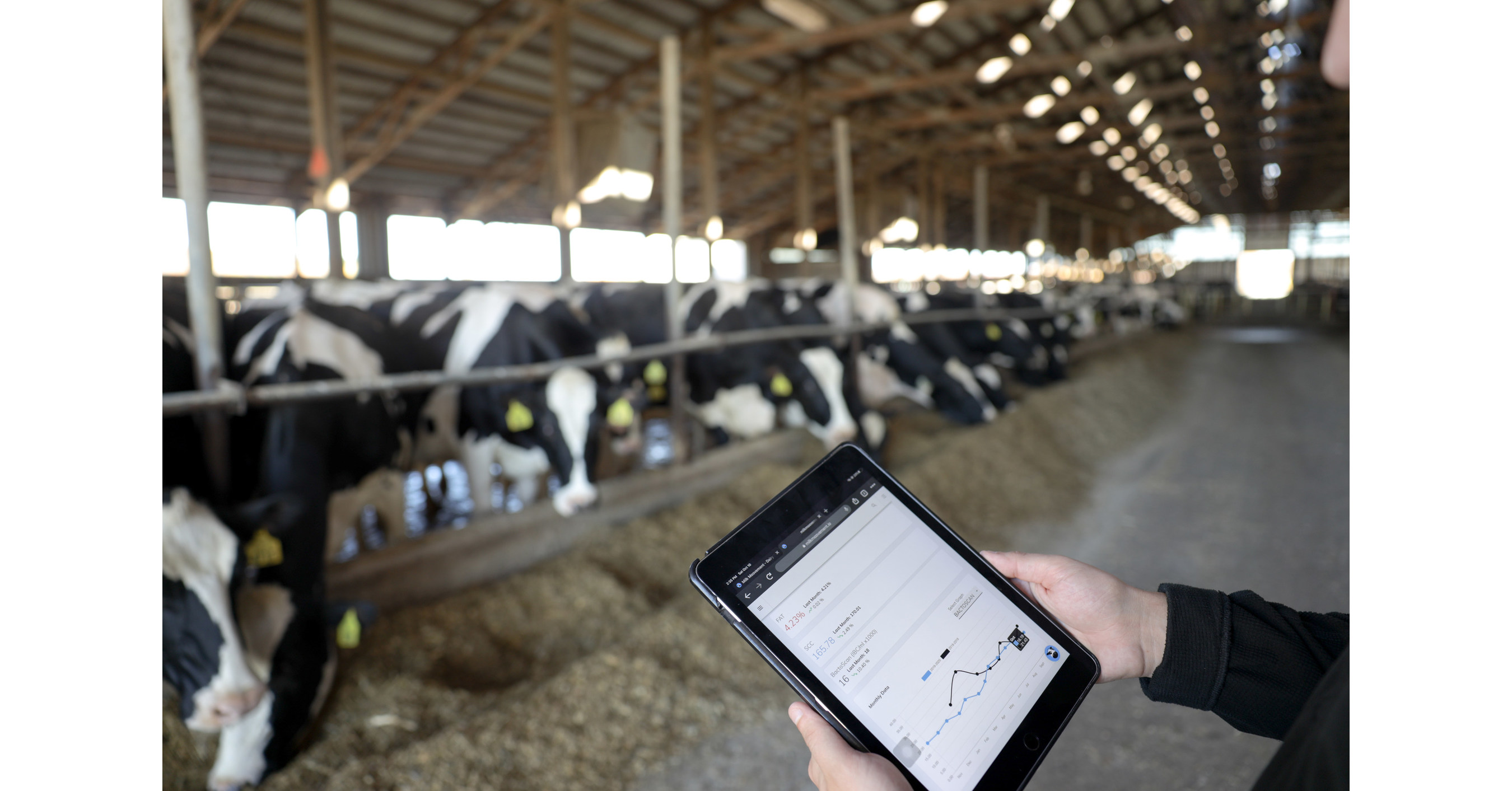 Milk Moovement Raises $20 Million USD To Transform the Dairy Industry's ...