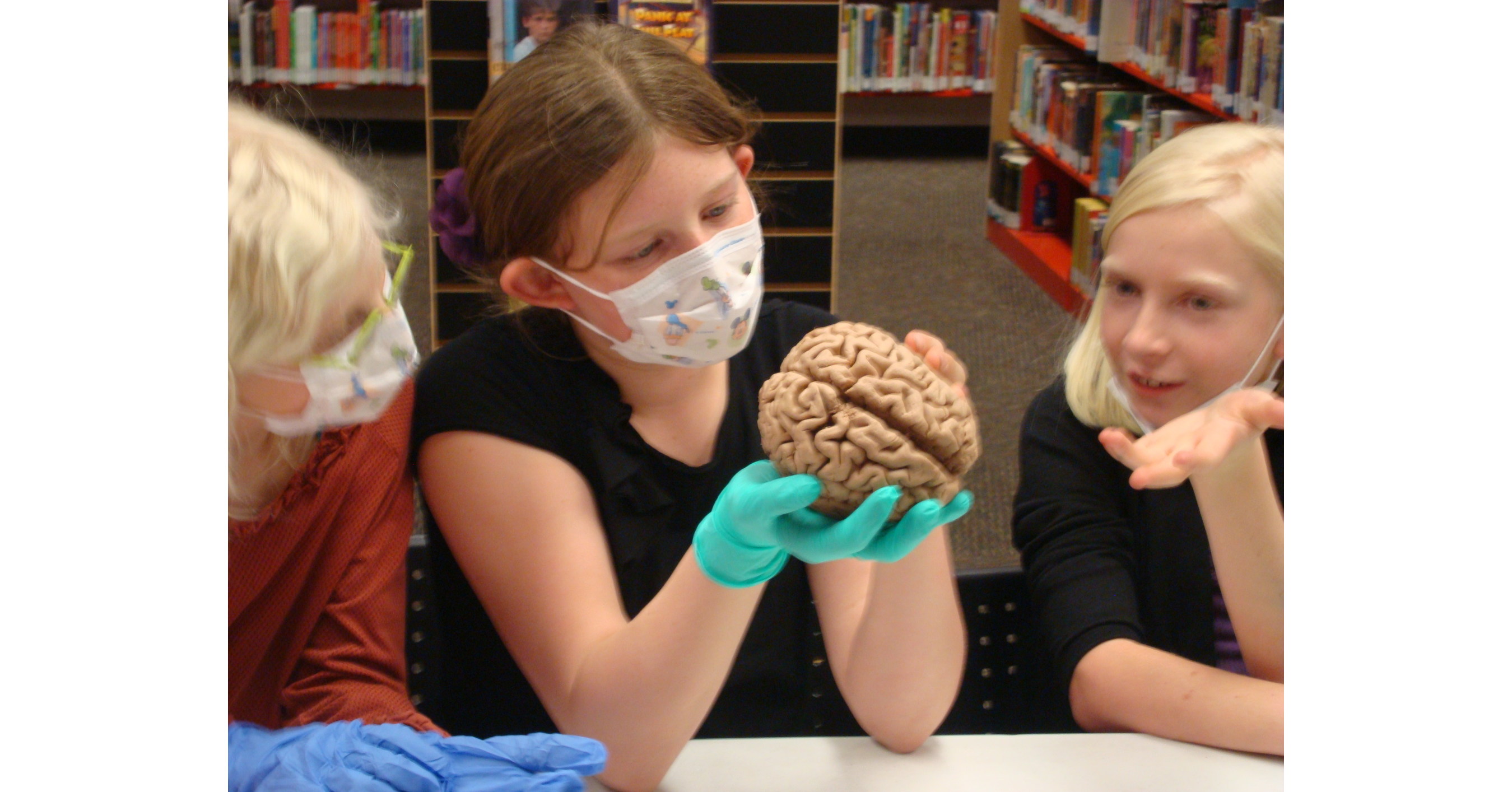 EMED Logic© Discovers "Equation for Youth Suicide Lethality"