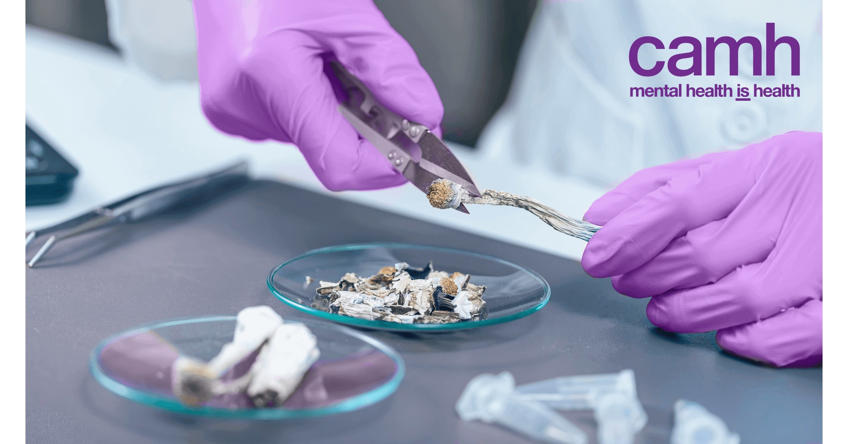 CAMH receives first Canadian federal (CIHR) grant to study psilocybin