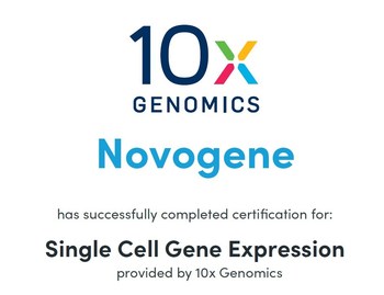 Novogene America Launches a New Single-Cell Lab in San Jose. CA, Based ...