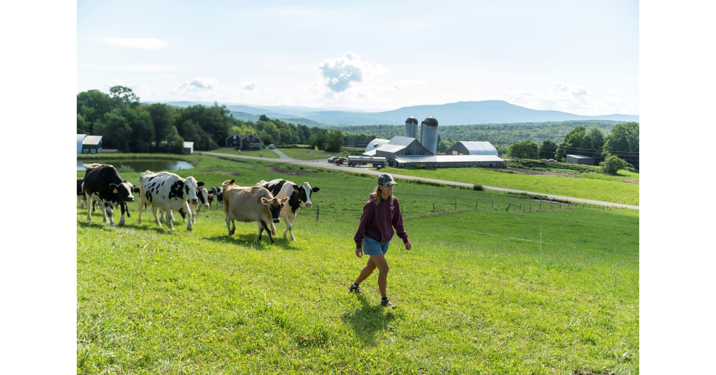 Farmer-Owned Cooperative Organic Valley Bucks Trend in Farming ...