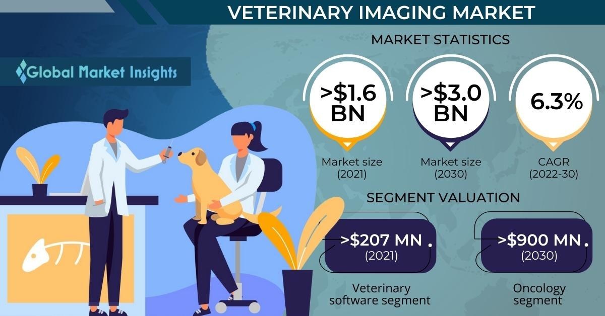 Veterinary Imaging Market worth USD 3 billion by 2030, says Global ...
