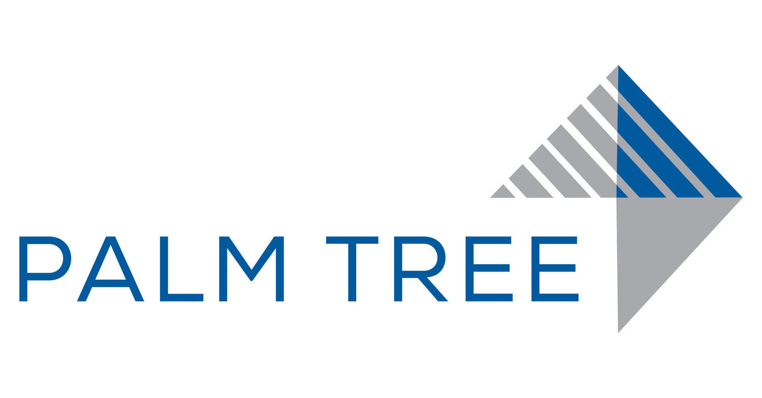 Palm Tree Names Christopher Bray as Chief Financial Officer