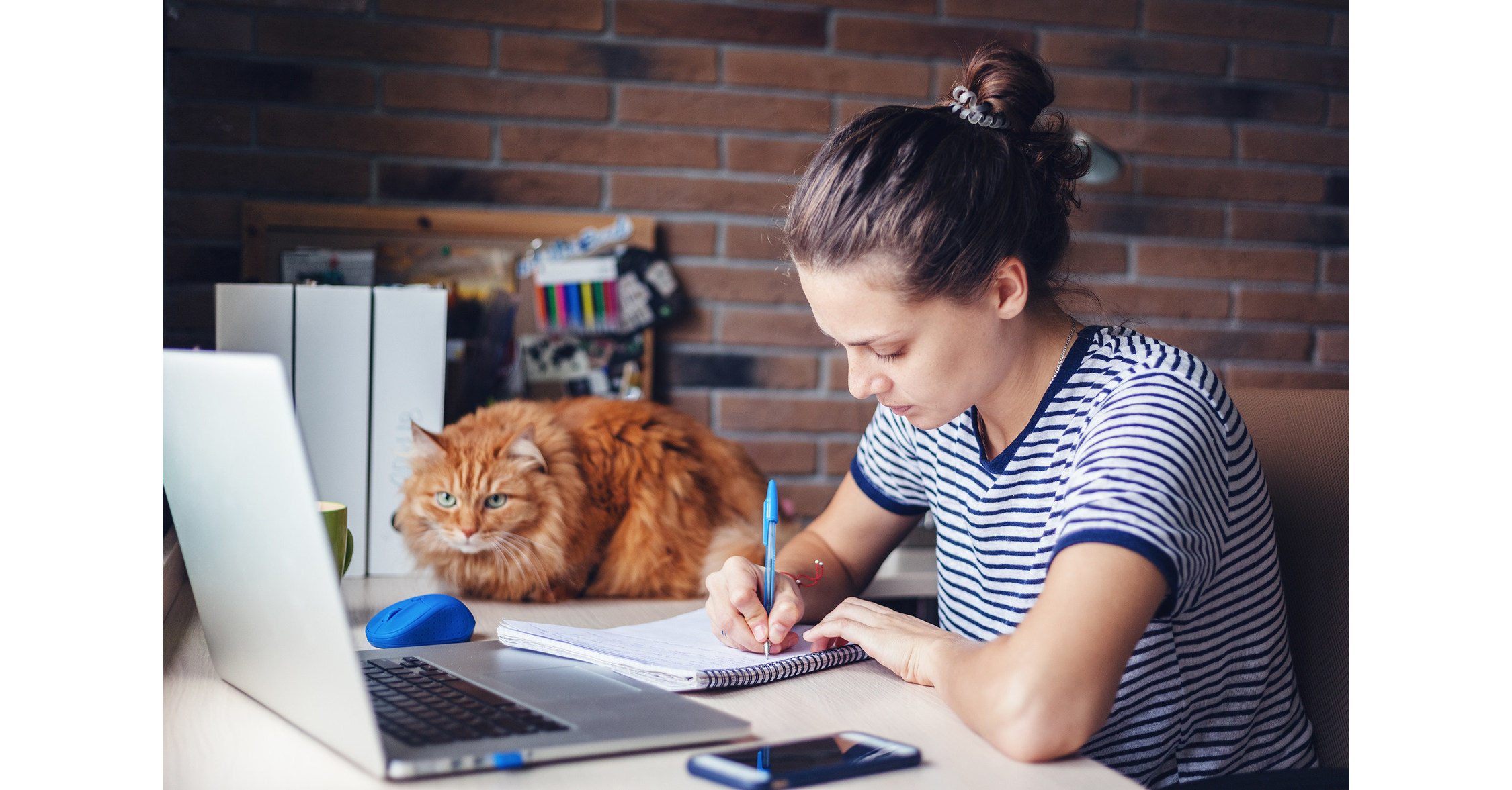 5 Ways to Support Cats in Your Community