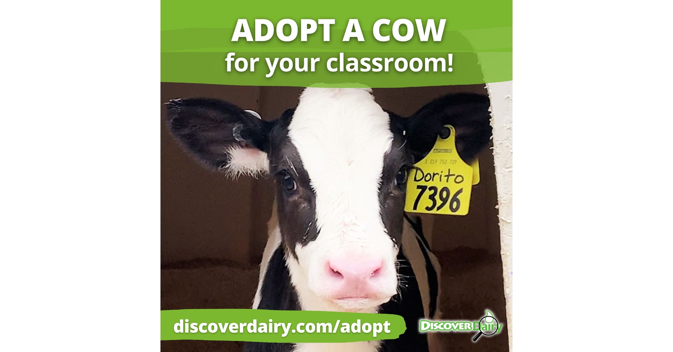 MOOOOve Back into the Classroom with a Cow for a Mascot