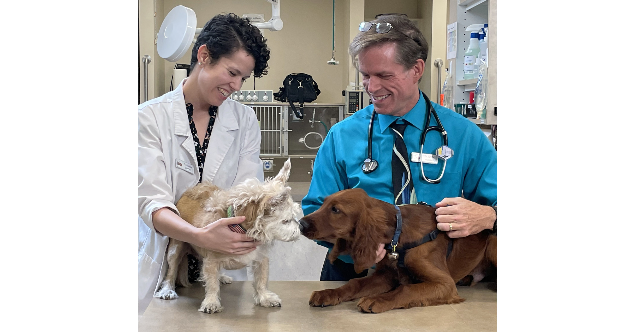 TAG - The Aspen Group to Acquire AZPetVet - A Group of 22 Veterinary ...