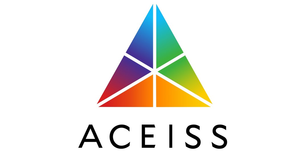 You Can't Protect What You Can't See: Aceiss Raises $3.25 Million to ...