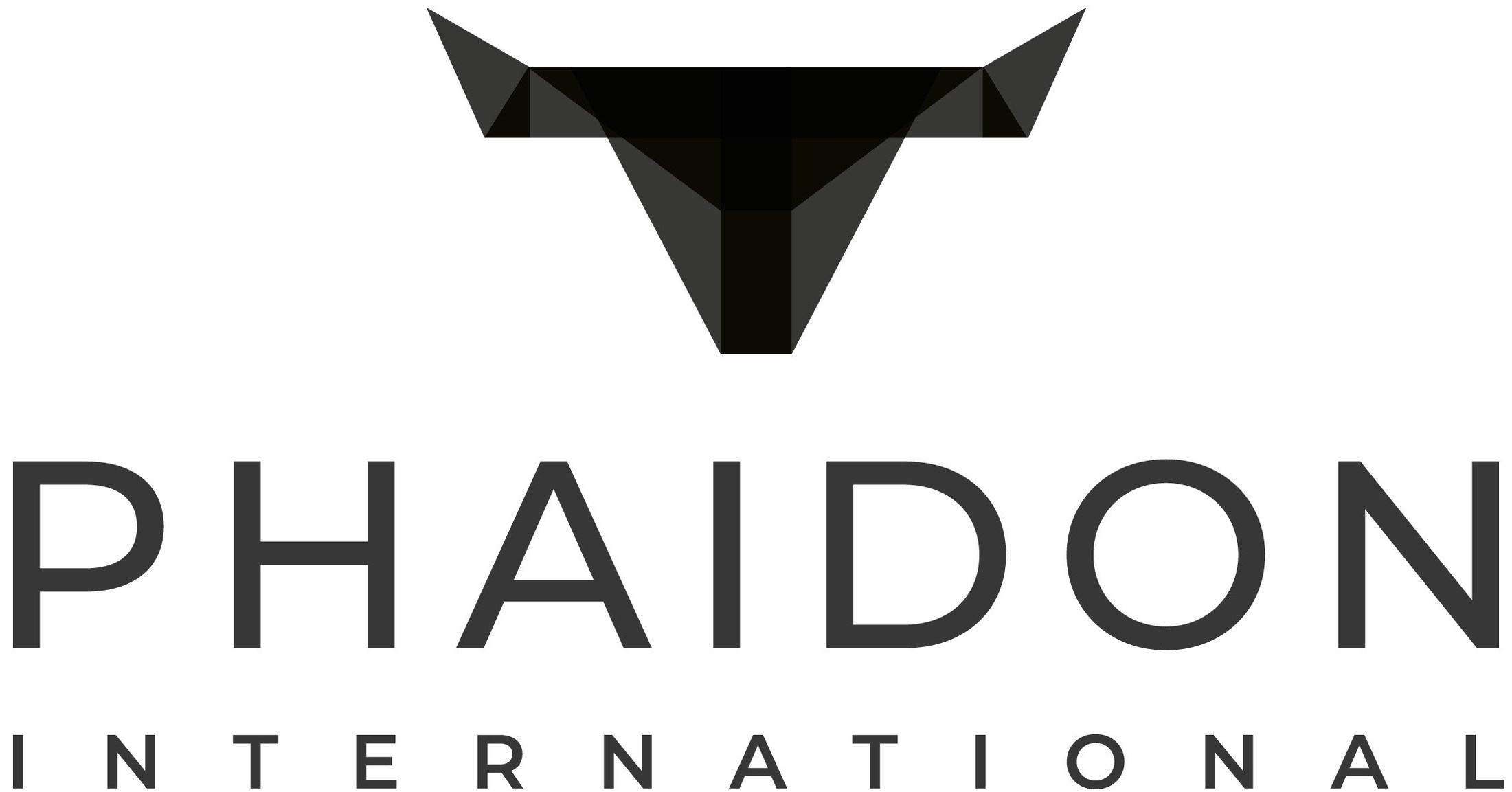 Phaidon Logo Vitamin D | Art | Store | Phaidon