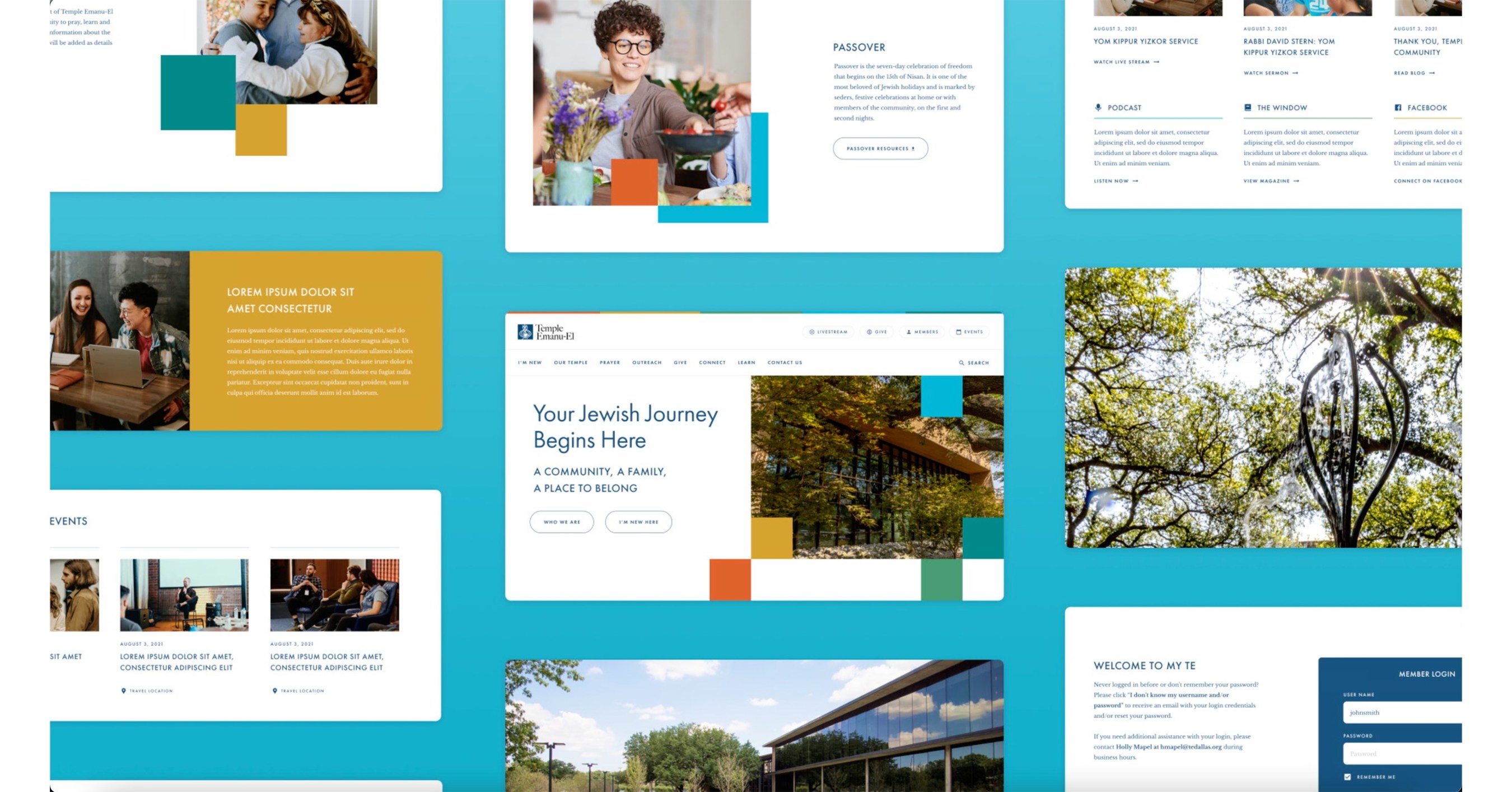 Historic Fixture of Jewish Community Launches New Website With Tegan ...