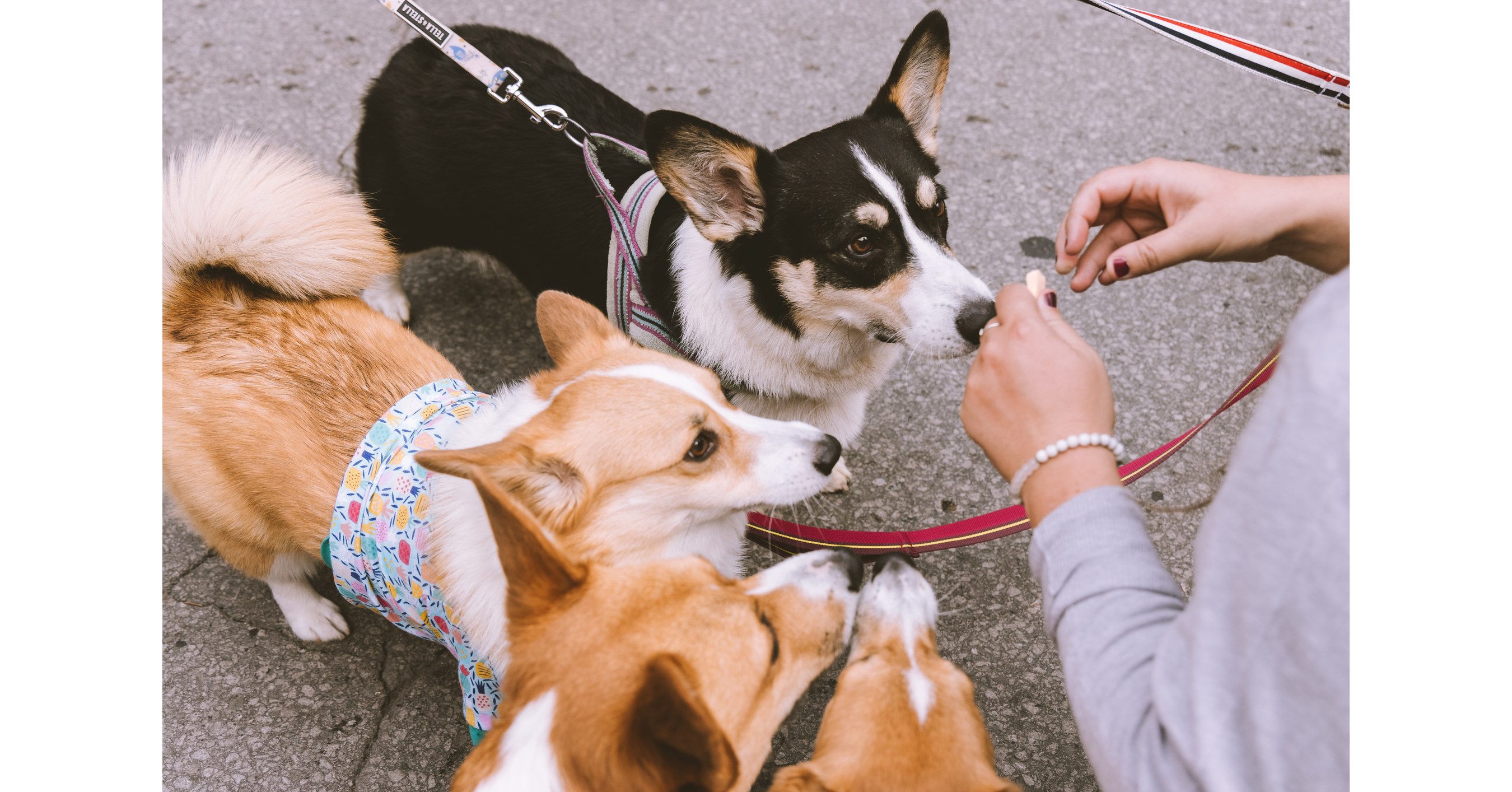 Shoni Market settles into Shaughnessy Village