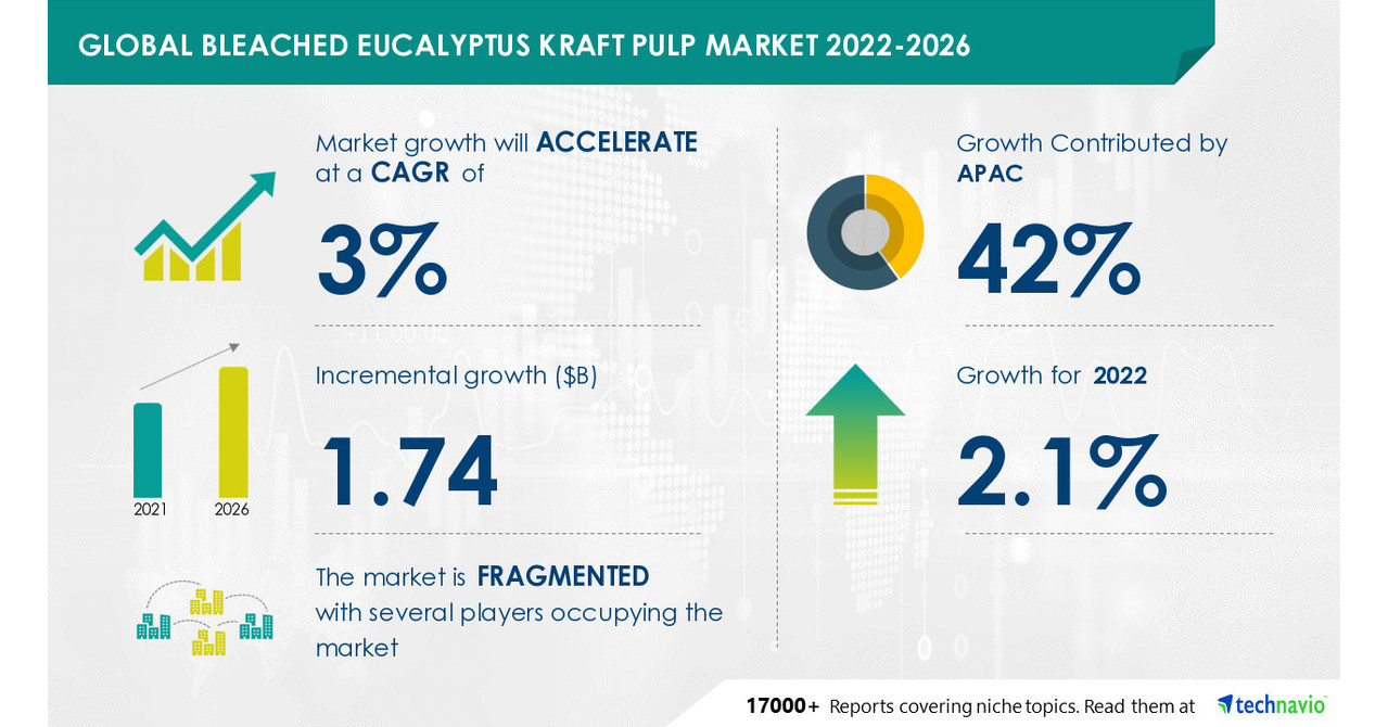 Bleached Eucalyptus Kraft Pulp Market to record USD 1.74 Bn growth ...