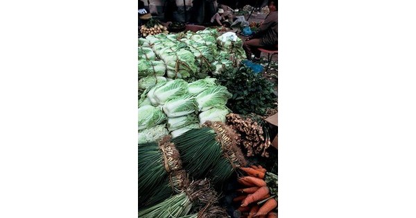 Chung-Ang University Study Reveals Sustainable Business Solutions for ...