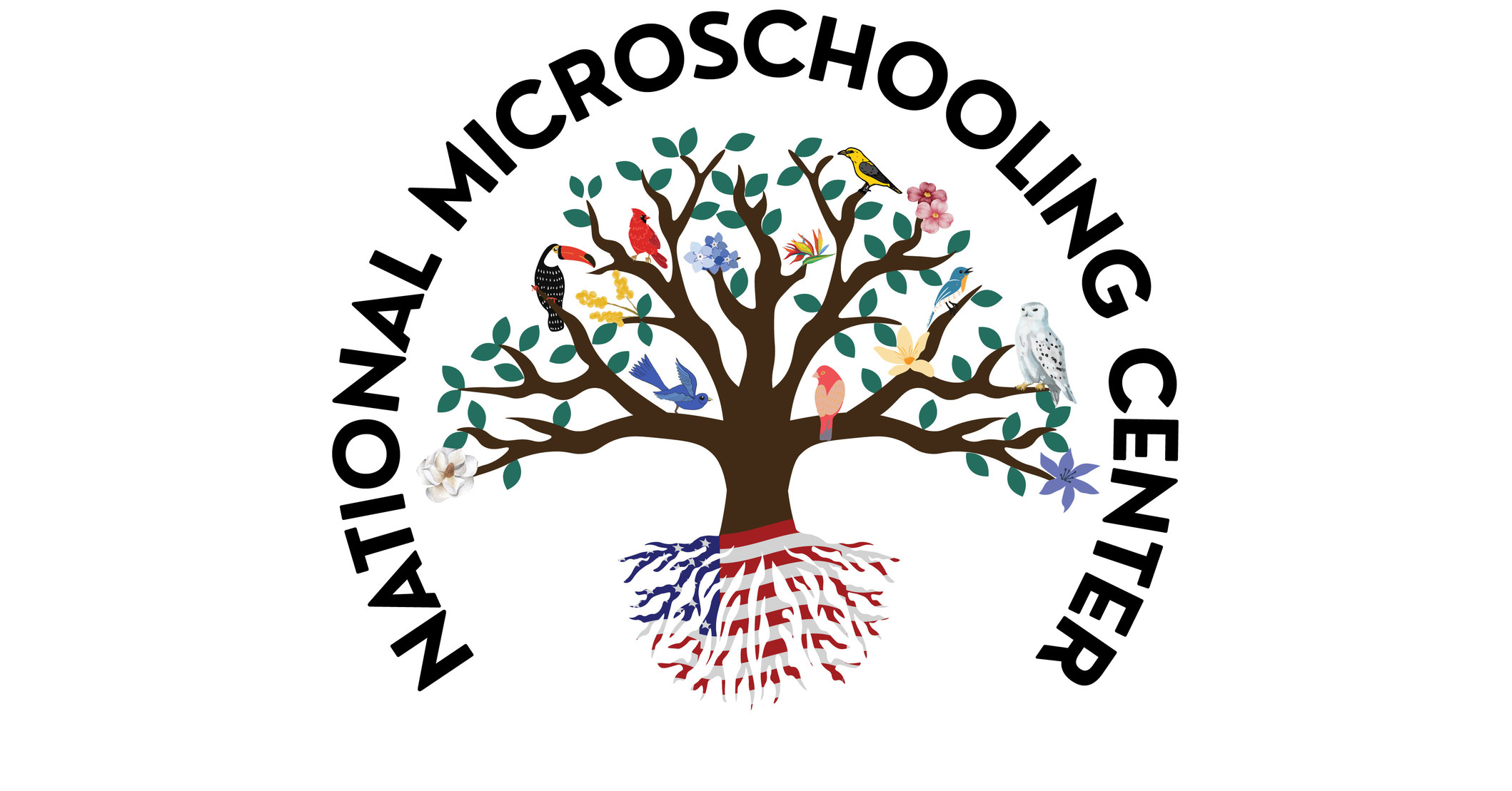 The National Microschooling Center Launches as a Resource Hub for ...
