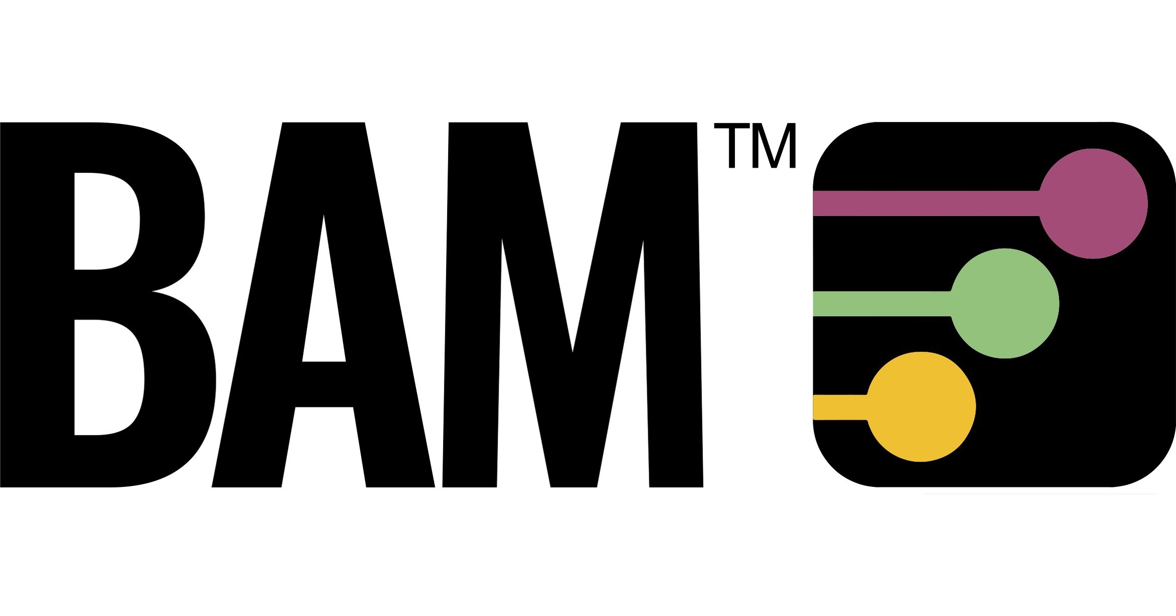 BAM™ to become a standalone technology company to accelerate scaling ...