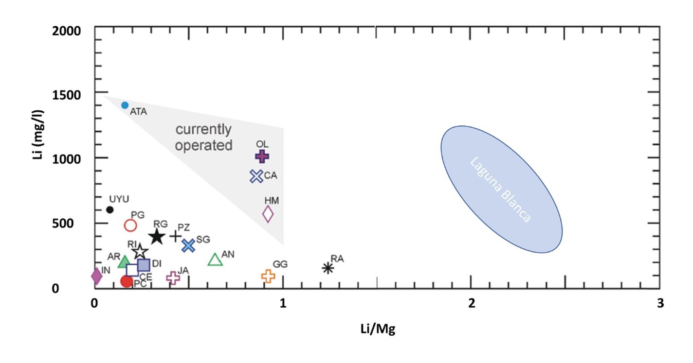Monumental Minerals Samples 405 Mg L Lithium In Shallow Brine With A Lithium To Magnesium Ratio